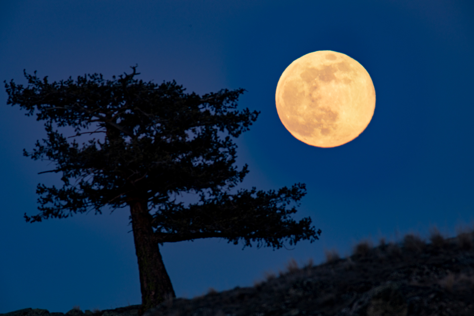 Colin brandt Photo - Astrophotography