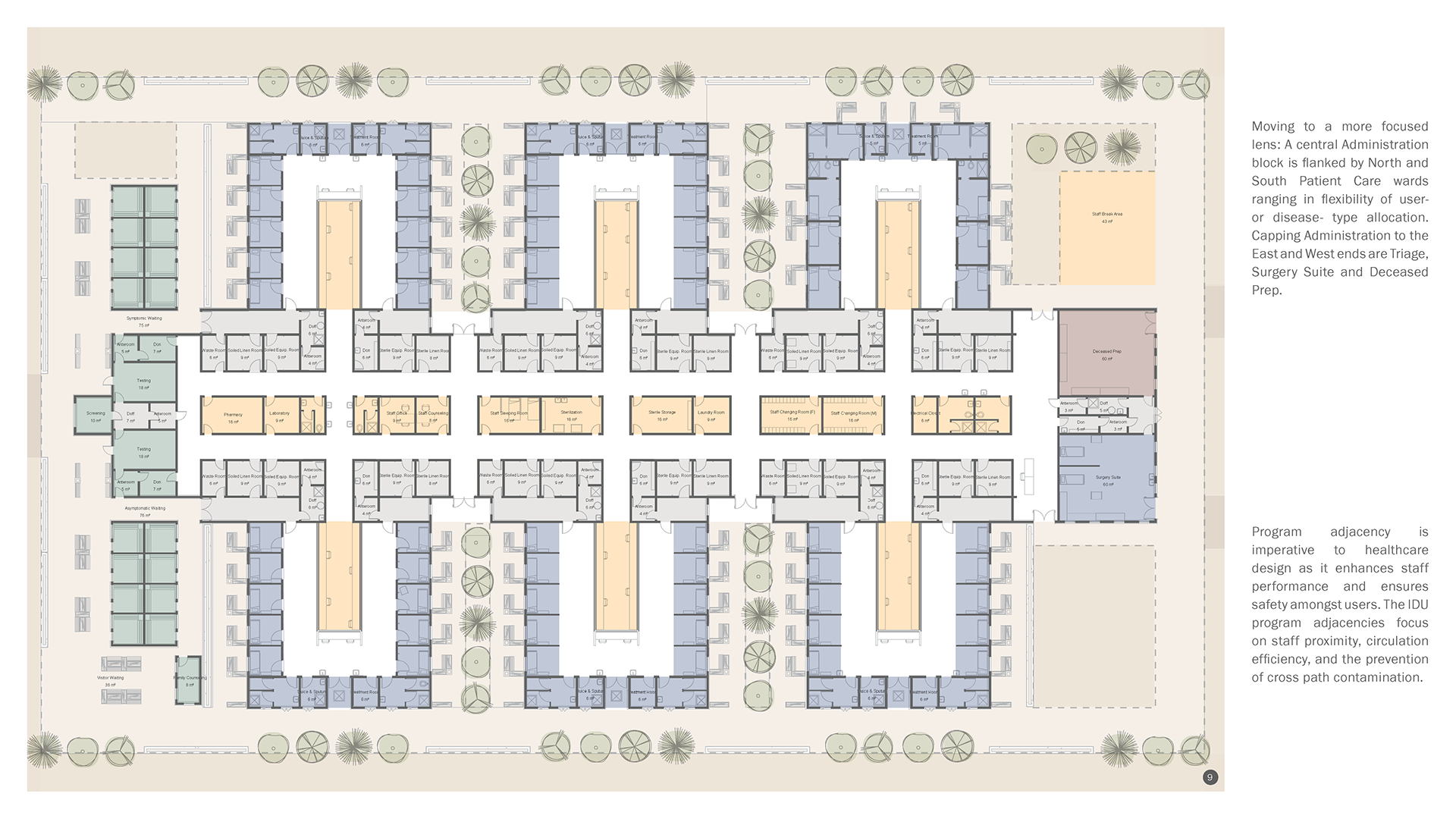 Callie Collins - IDU Prototype