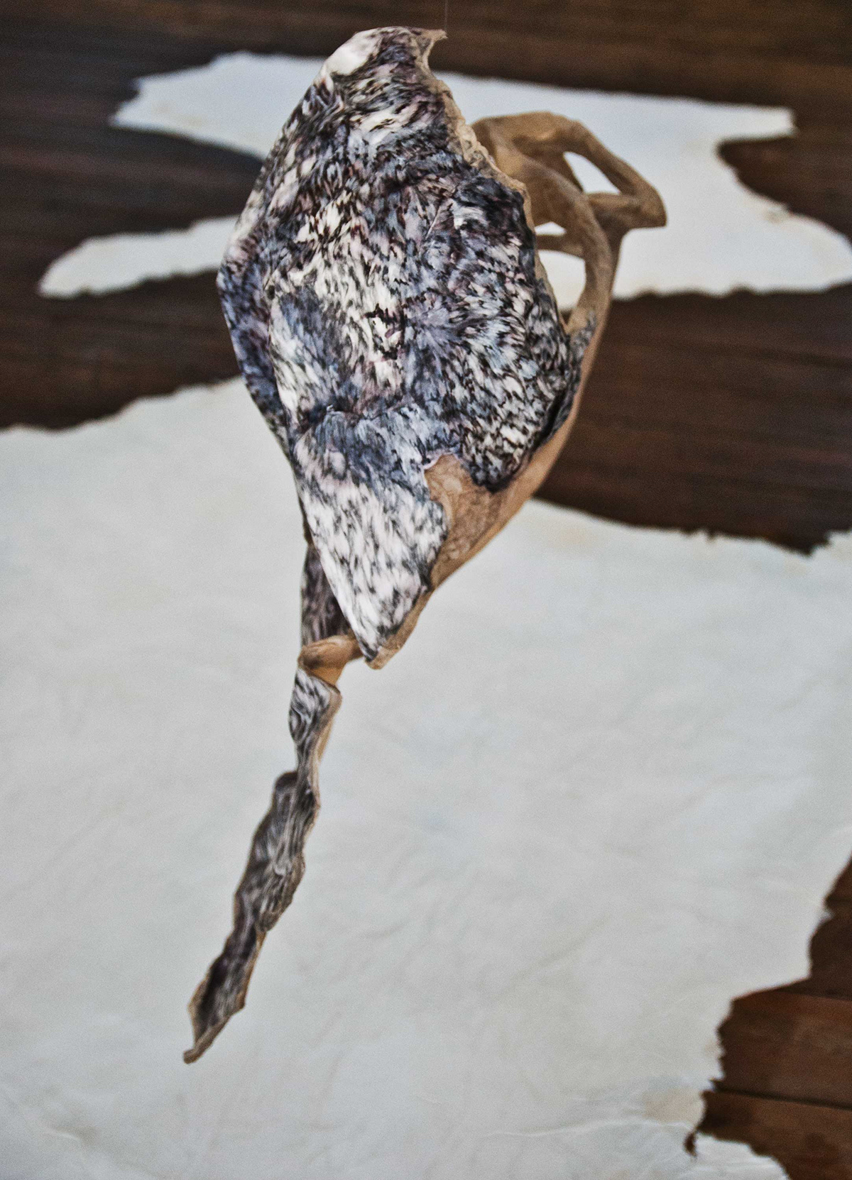 Maren Ruben - installation