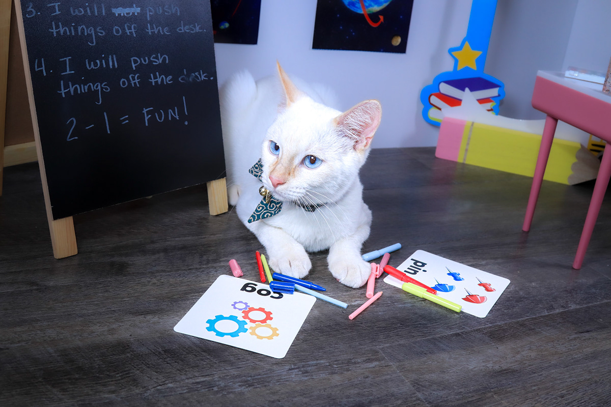 ARC Rescue TX - 20240817: Molly: Sirius, Naruto