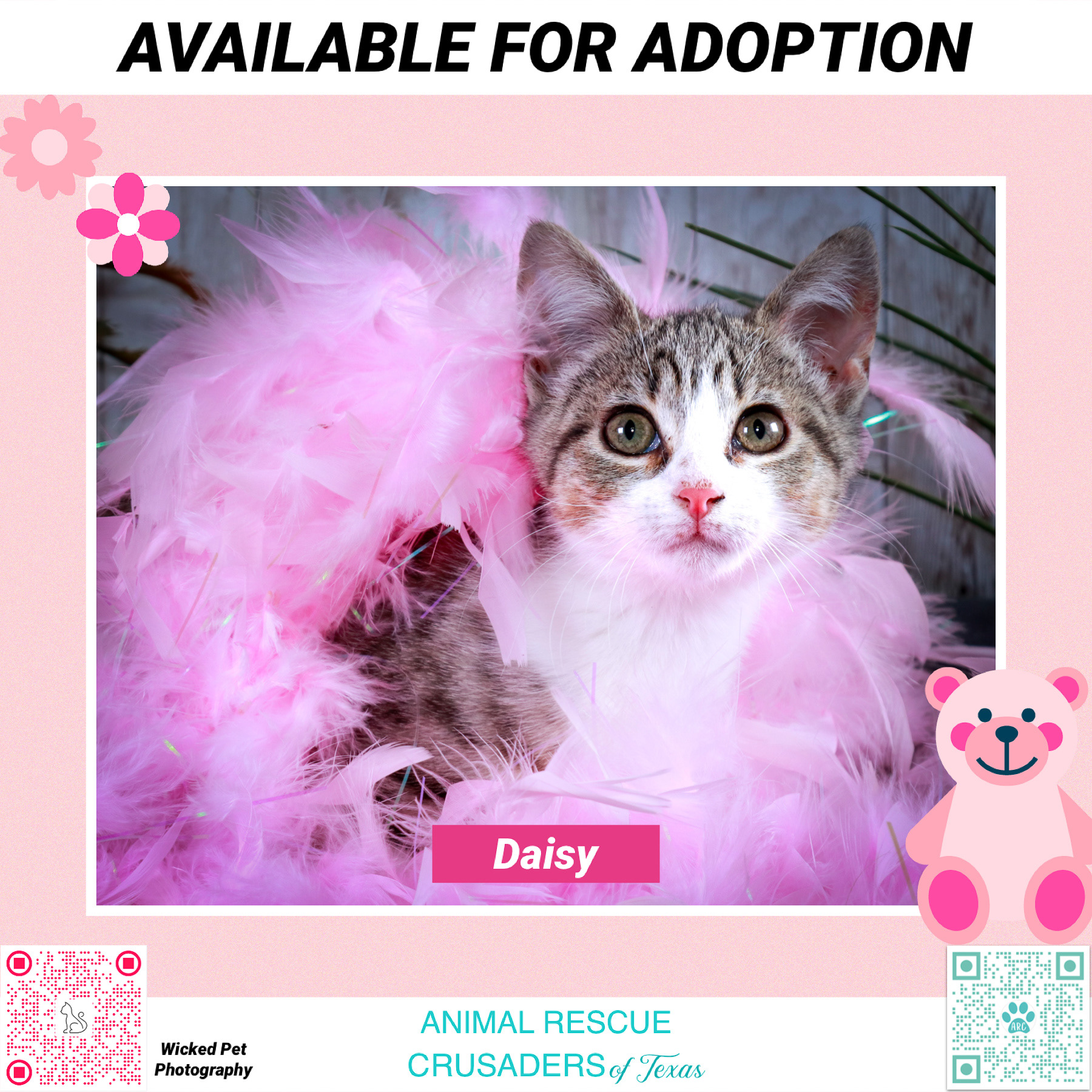 ARC Rescue TX - 20240803: Tara: Satsuma, Sudachi, Yuzu