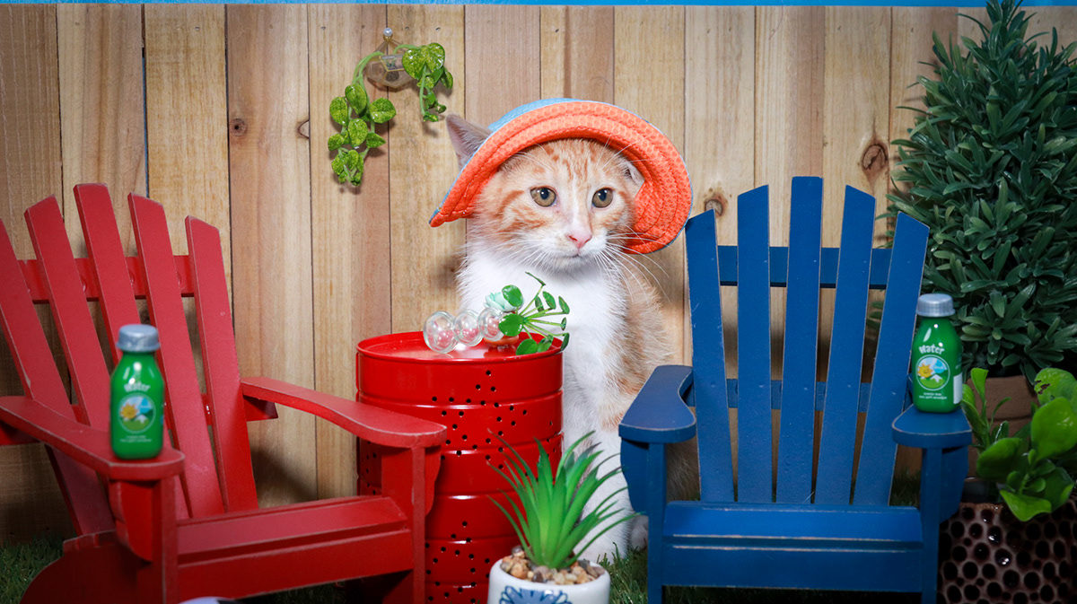 ARC Rescue TX - 20250524: Kelsey: George Weasley, Fred Weasley