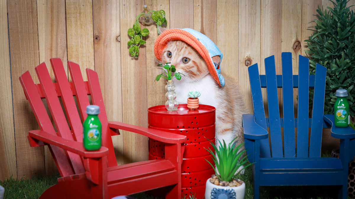 ARC Rescue TX - 20250524: Kelsey: George Weasley, Fred Weasley