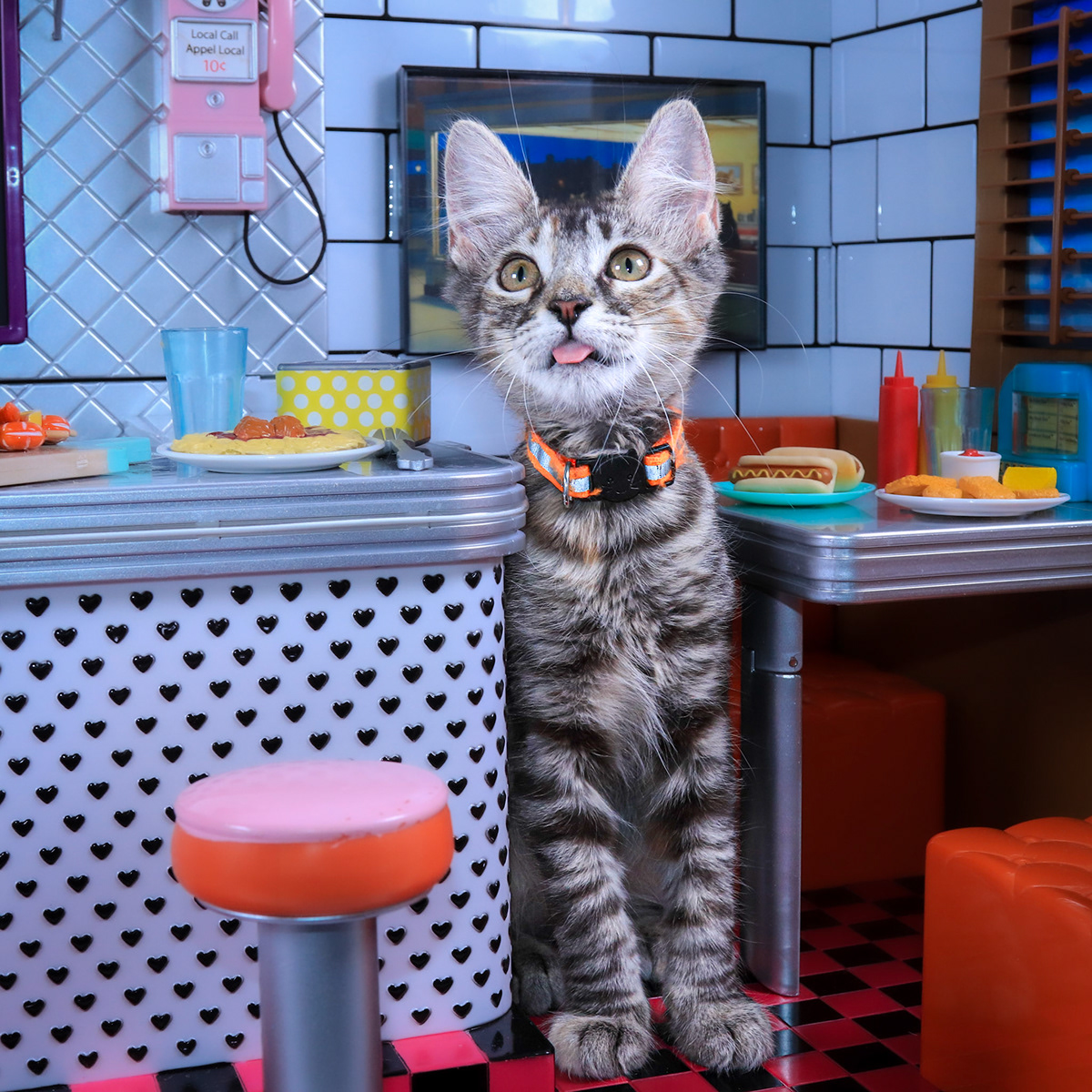 ARC Rescue TX - 20240803: Tara: Satsuma, Sudachi, Yuzu