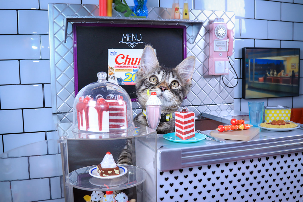 ARC Rescue TX - 20240803: Tara: Satsuma, Sudachi, Yuzu