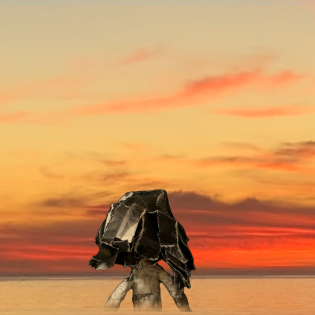 Jade Becker - Quand la vague m'emporte