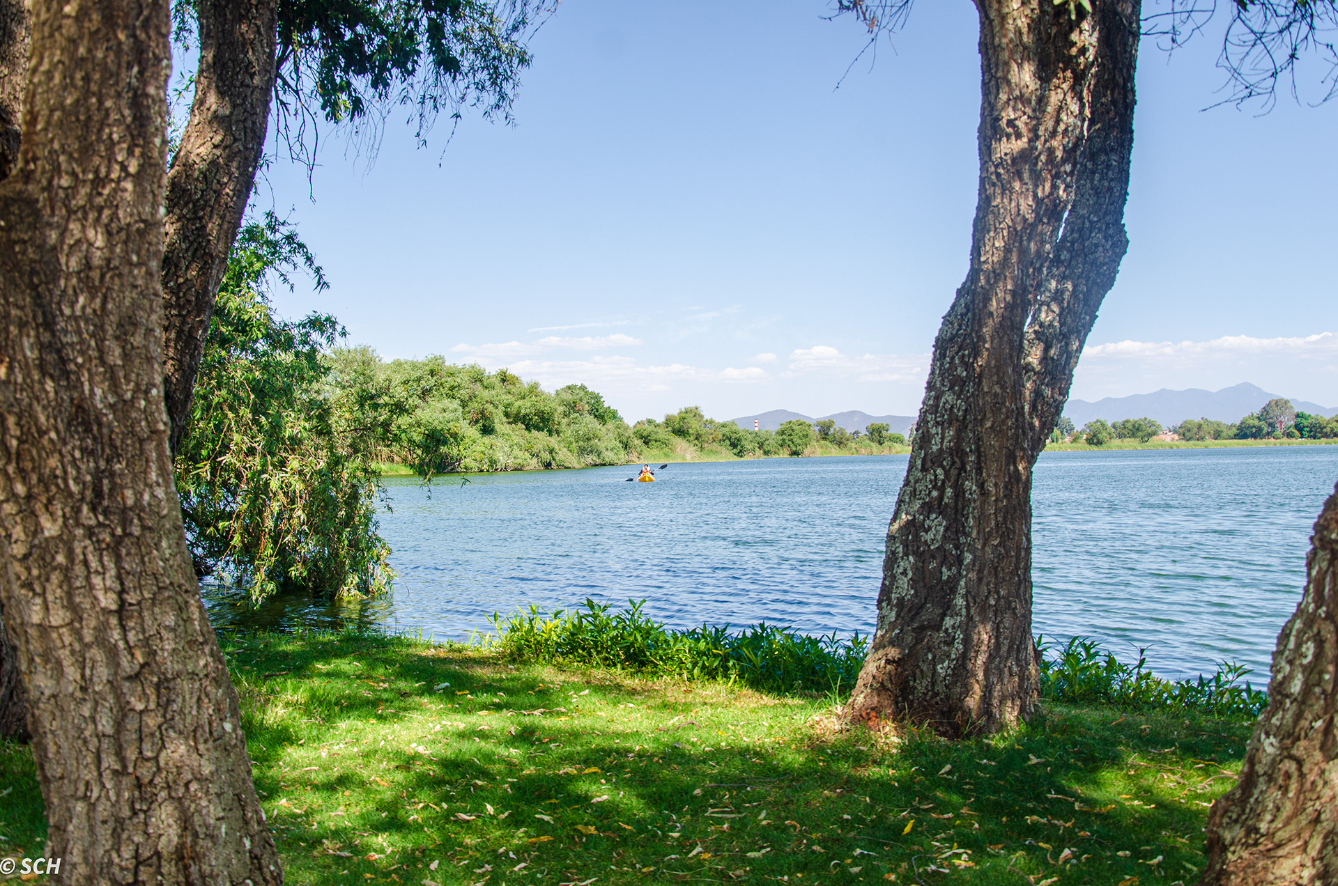 LensVisions: photos - Laguna de Zacapu