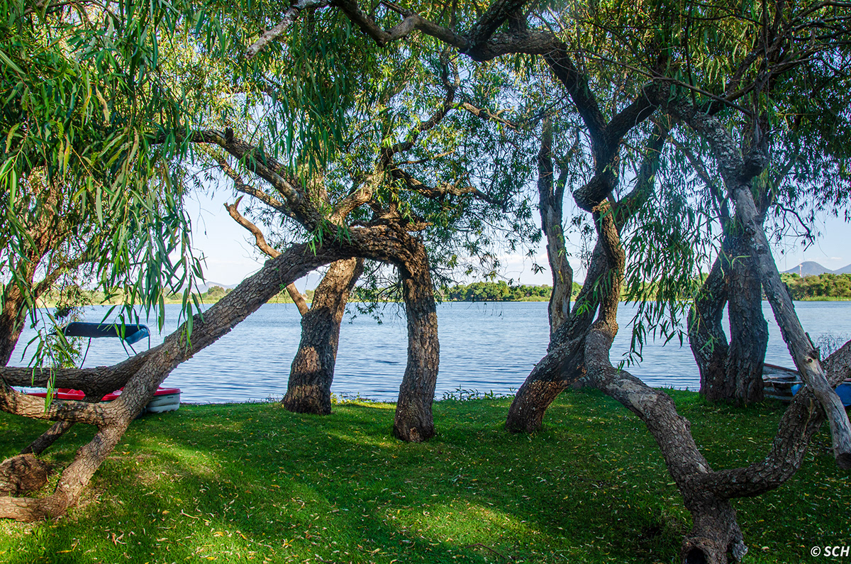 LensVisions: photos - Laguna de Zacapu