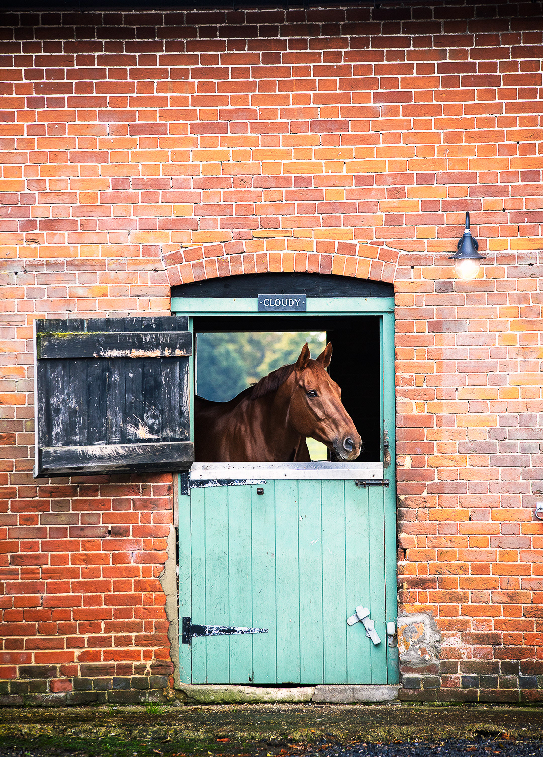 Stable Studio - Equine Photography by Gabriella Nagy - Portfolio
