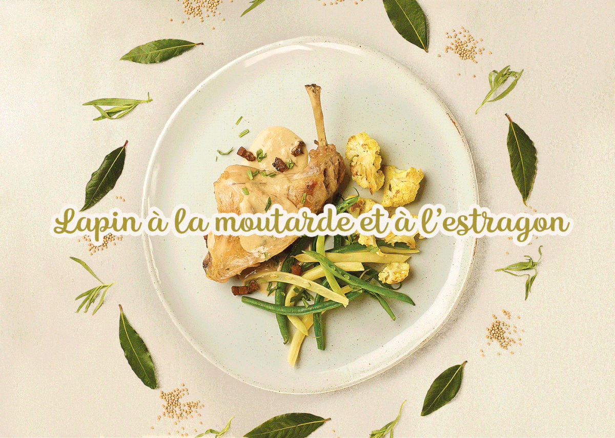 Benoit Levac Photographie - Lapin du Québec :: branding