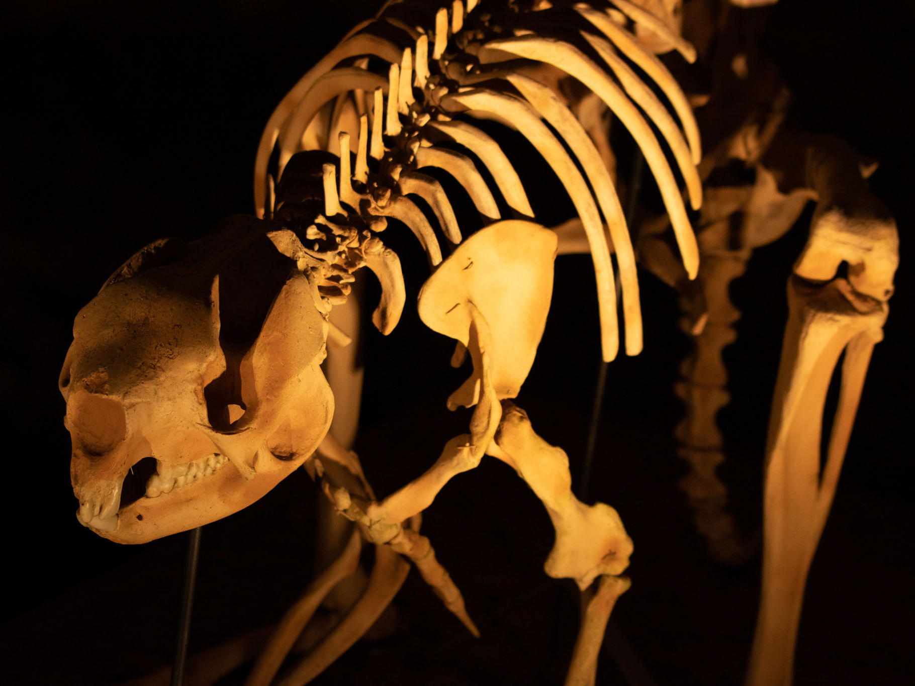 Art by Kara Simone | Artwork and Photography of our beautiful natural world