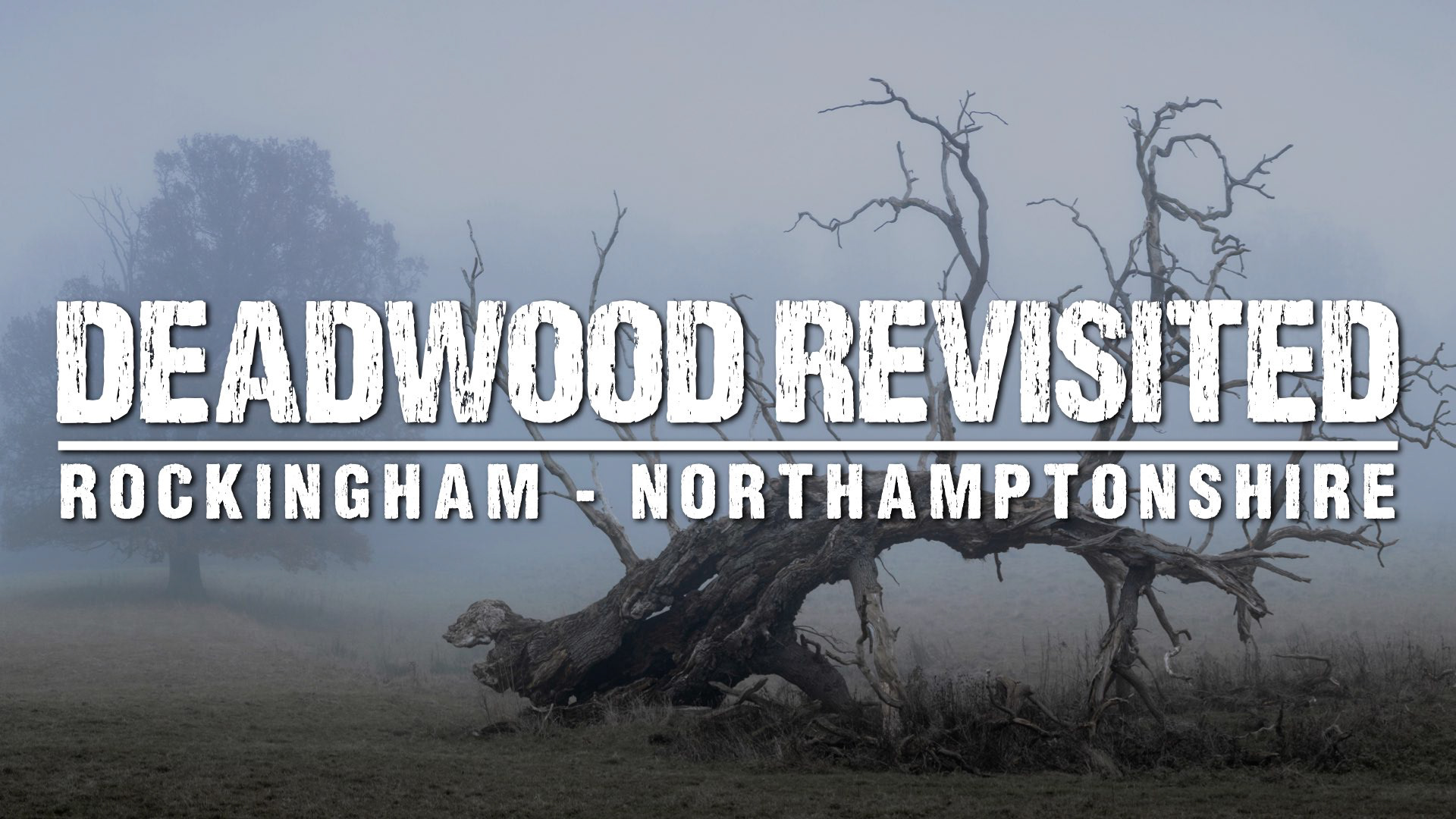 Stuart Rouse Landscape & Aviation Photography - VLOGS