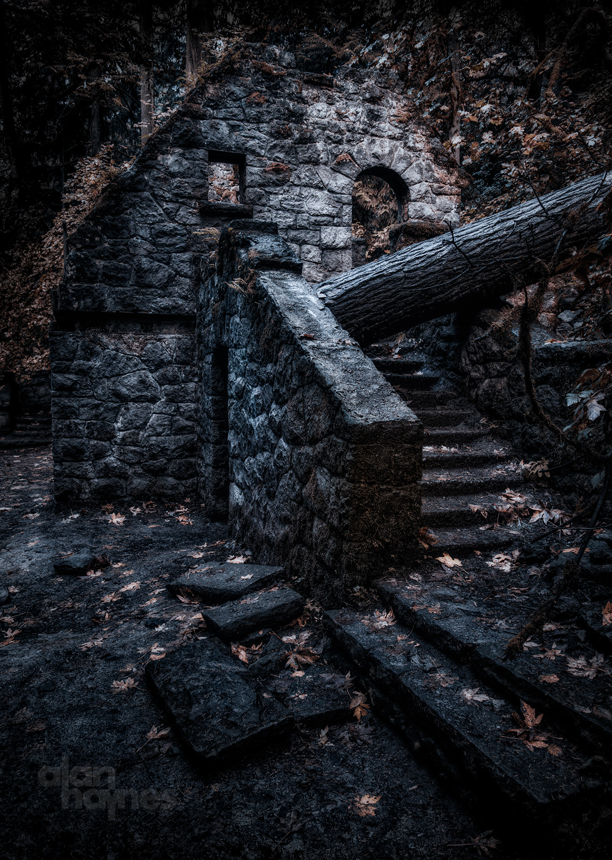 Alan Haynes Photography