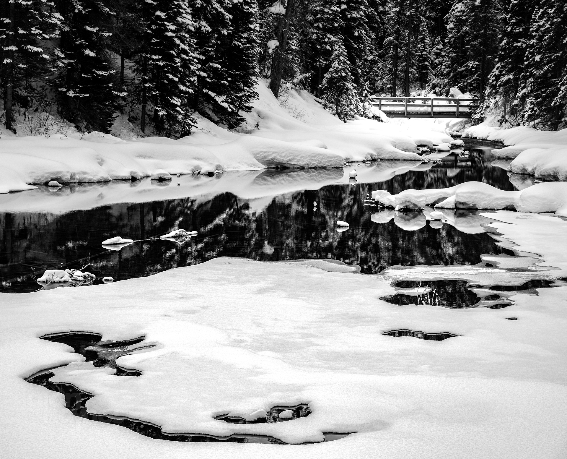 Alan Haynes Photography