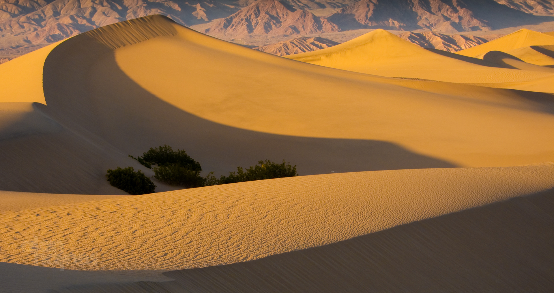 Alan Haynes Photography