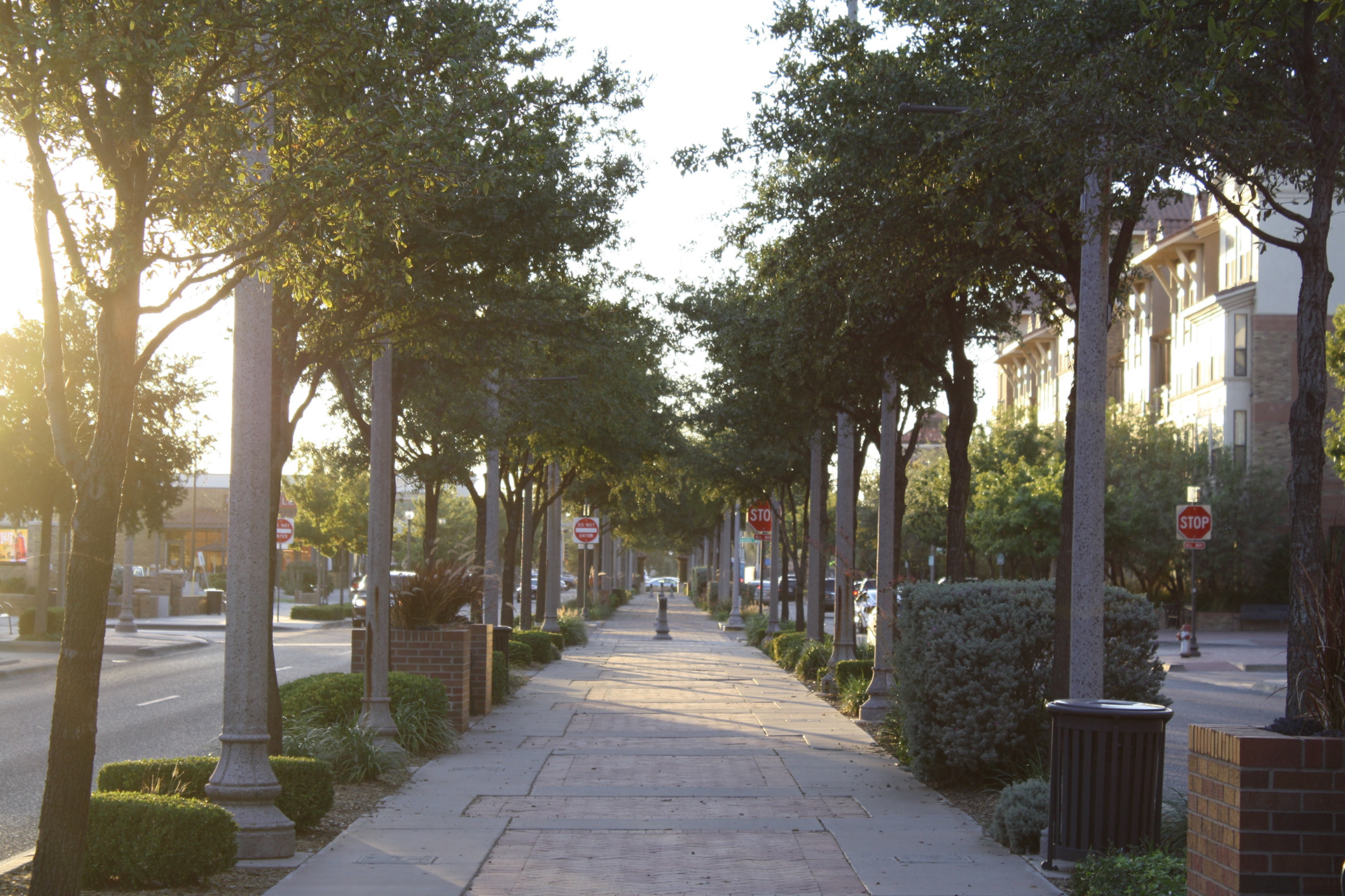 Tom's Tree Place - Completed Projects