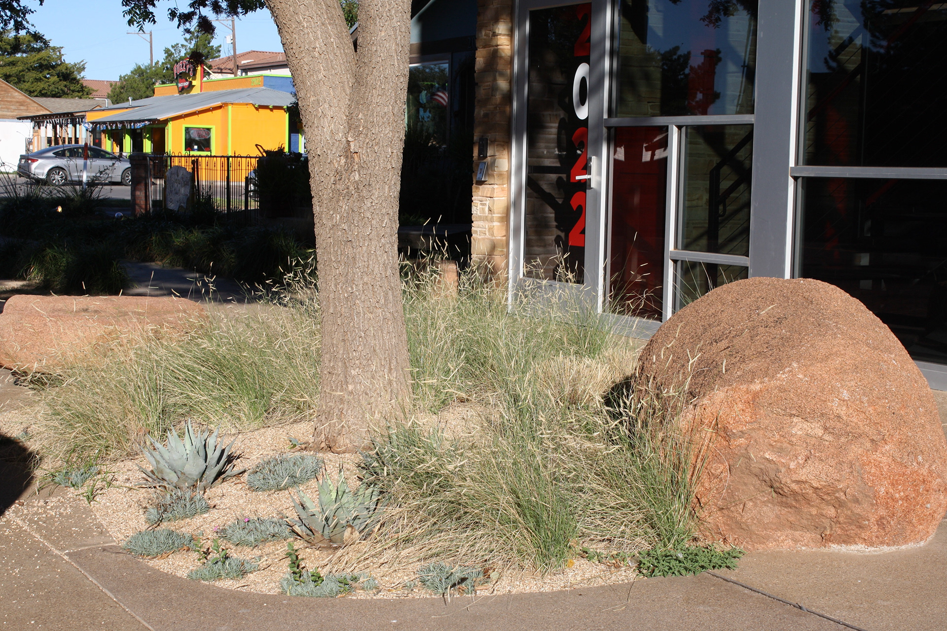 Tom's Tree Place - Completed Projects