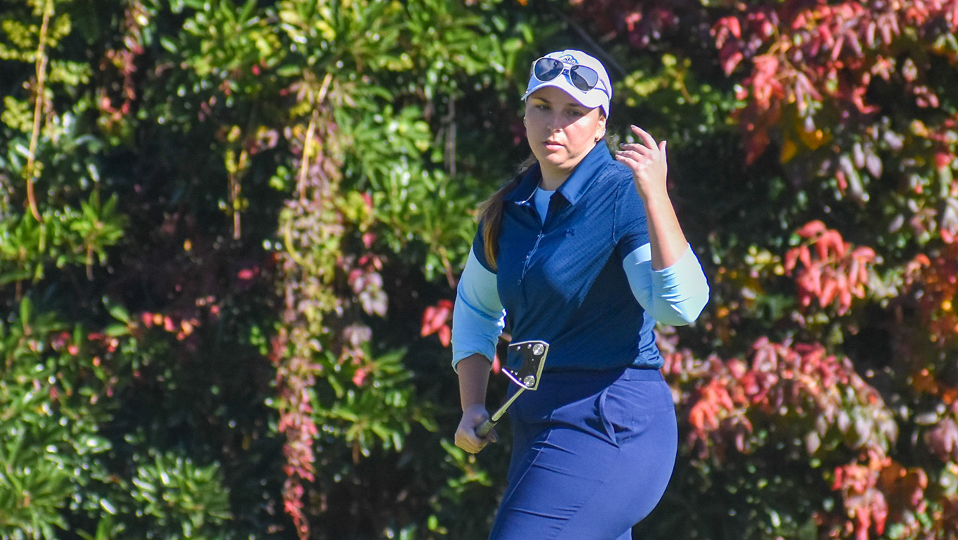 Virginia State Golf Association