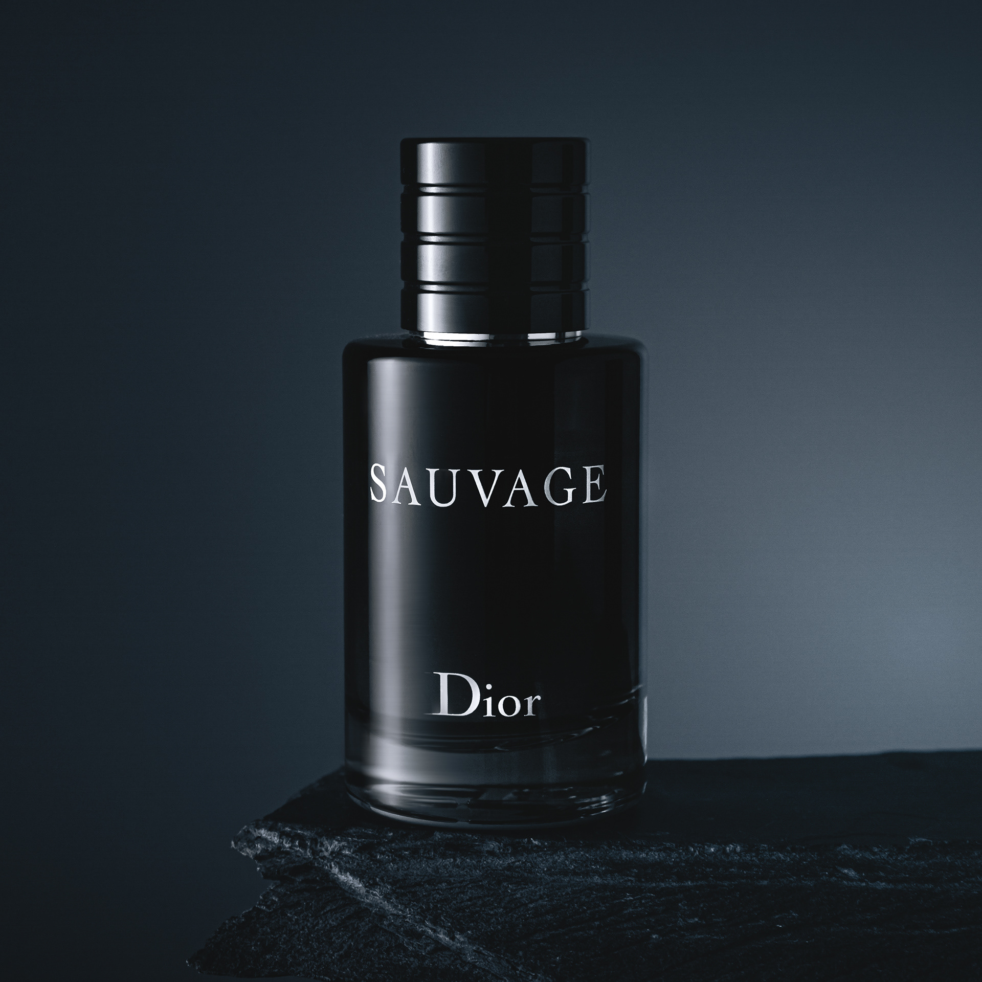 igor simic - PRODUIT / MACRO