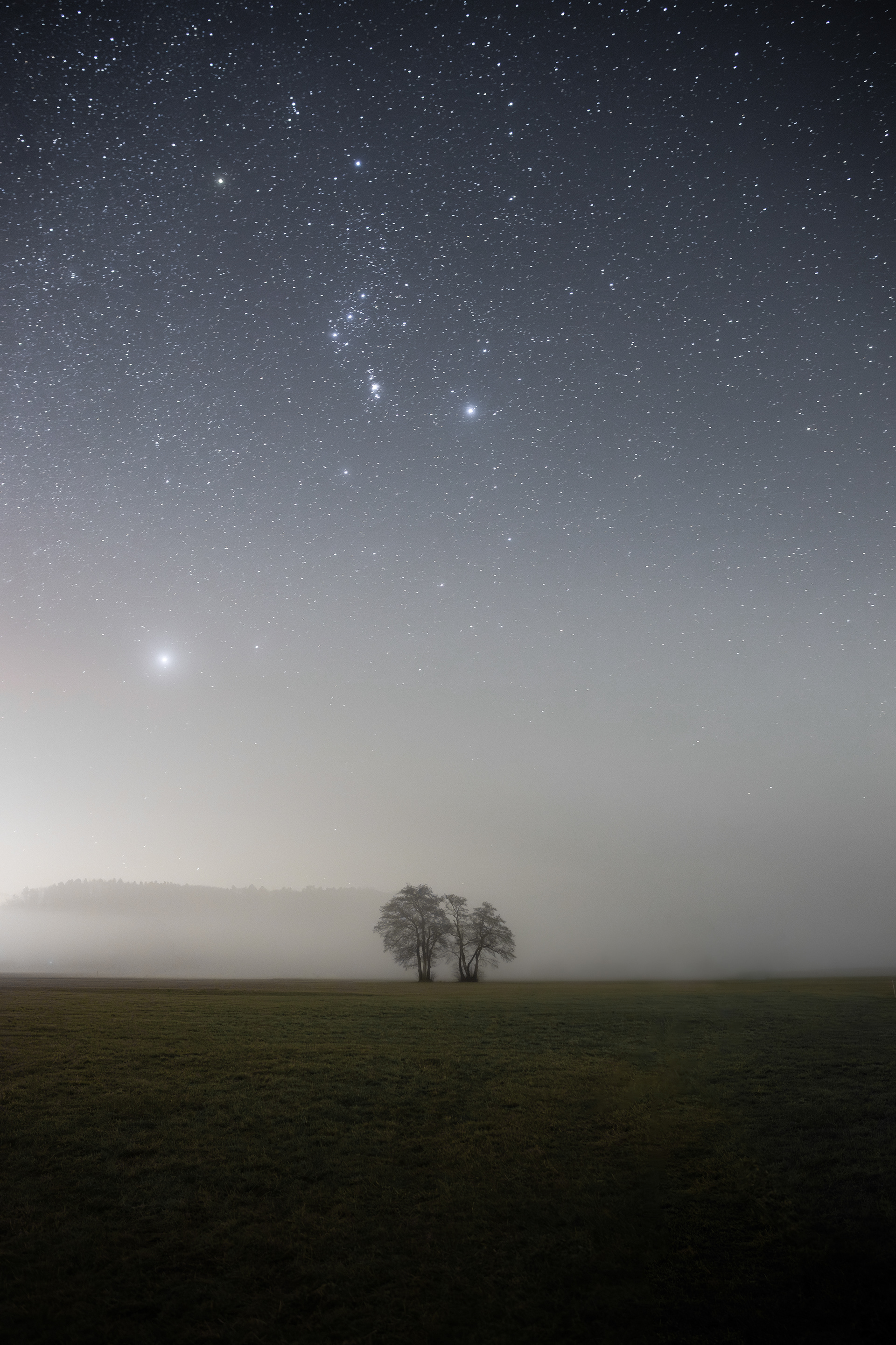 igor simic - PAYSAGE