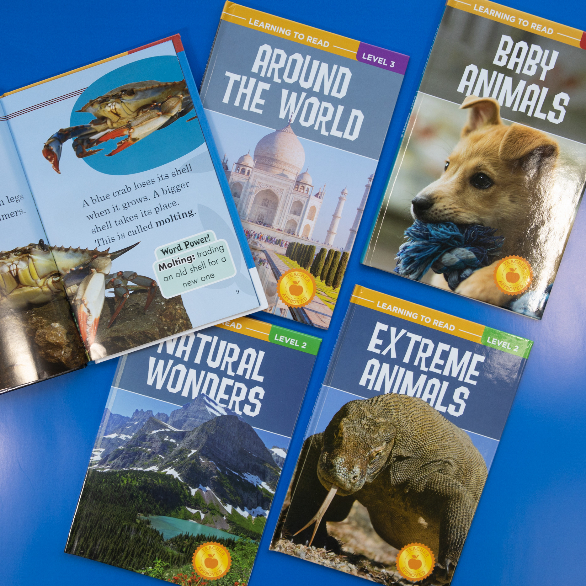 The Clever Factory - OC - Books