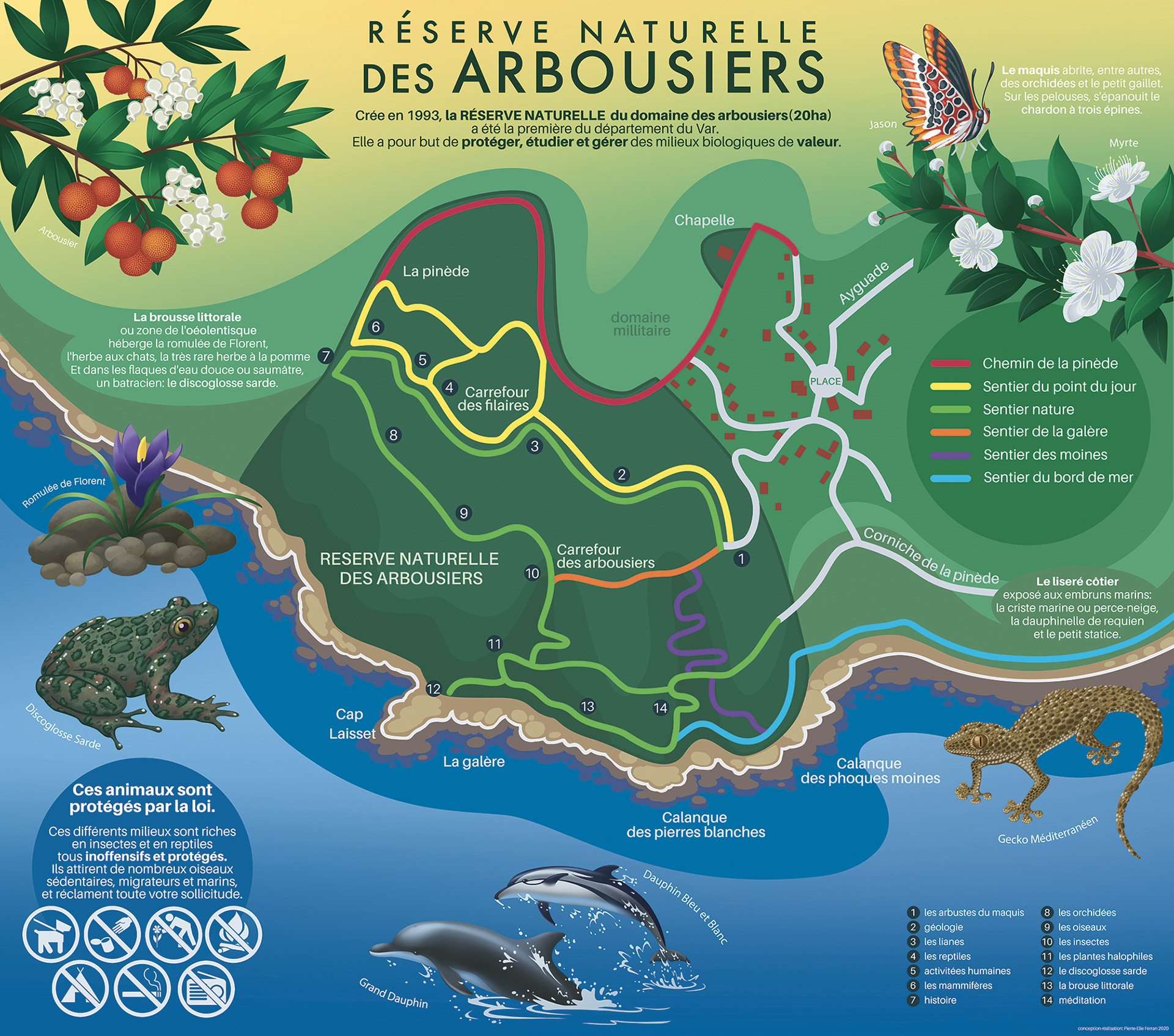 Pierre-Elie Ferran - Plan de l'Ile du Levant