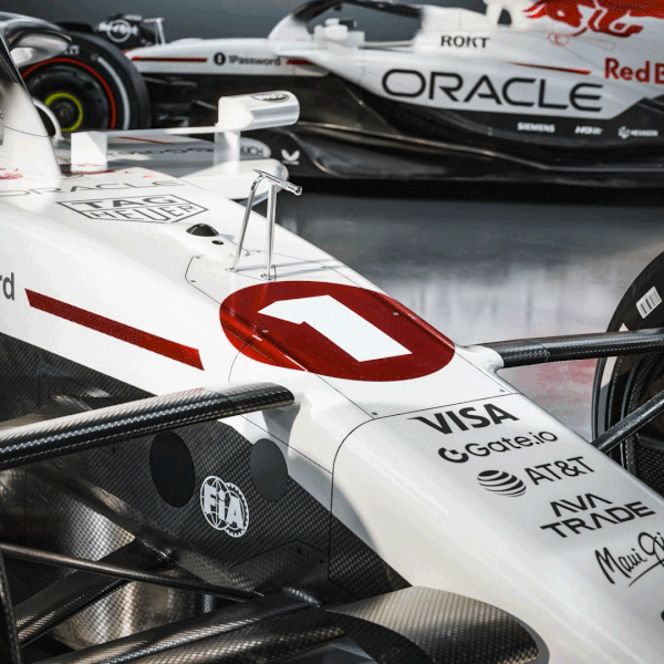 Simon R. Designs - OFFICIAL "White Bull" Livery Reveal - Red Bull RB21 JPN