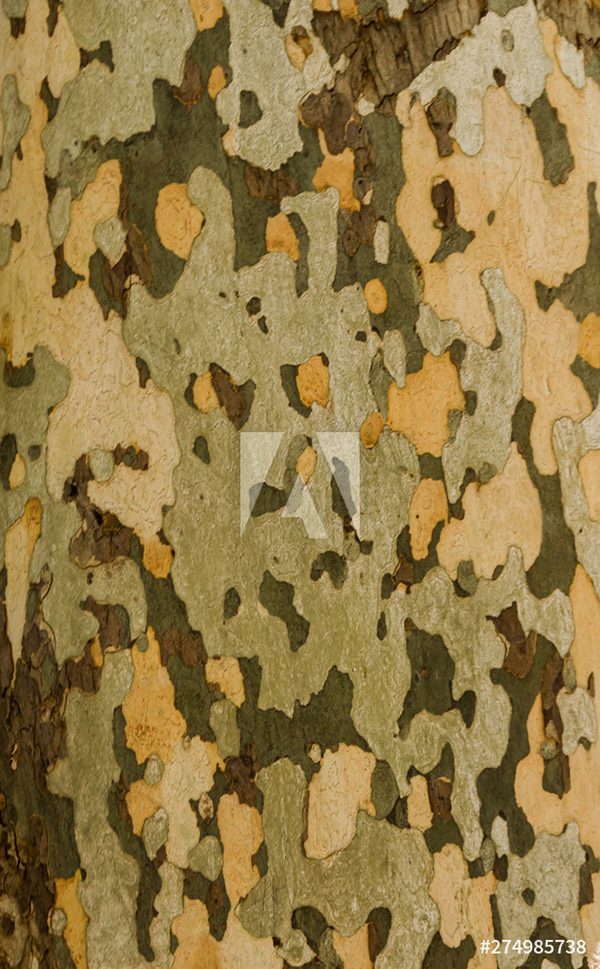 Kirk Nix Photography - Textures