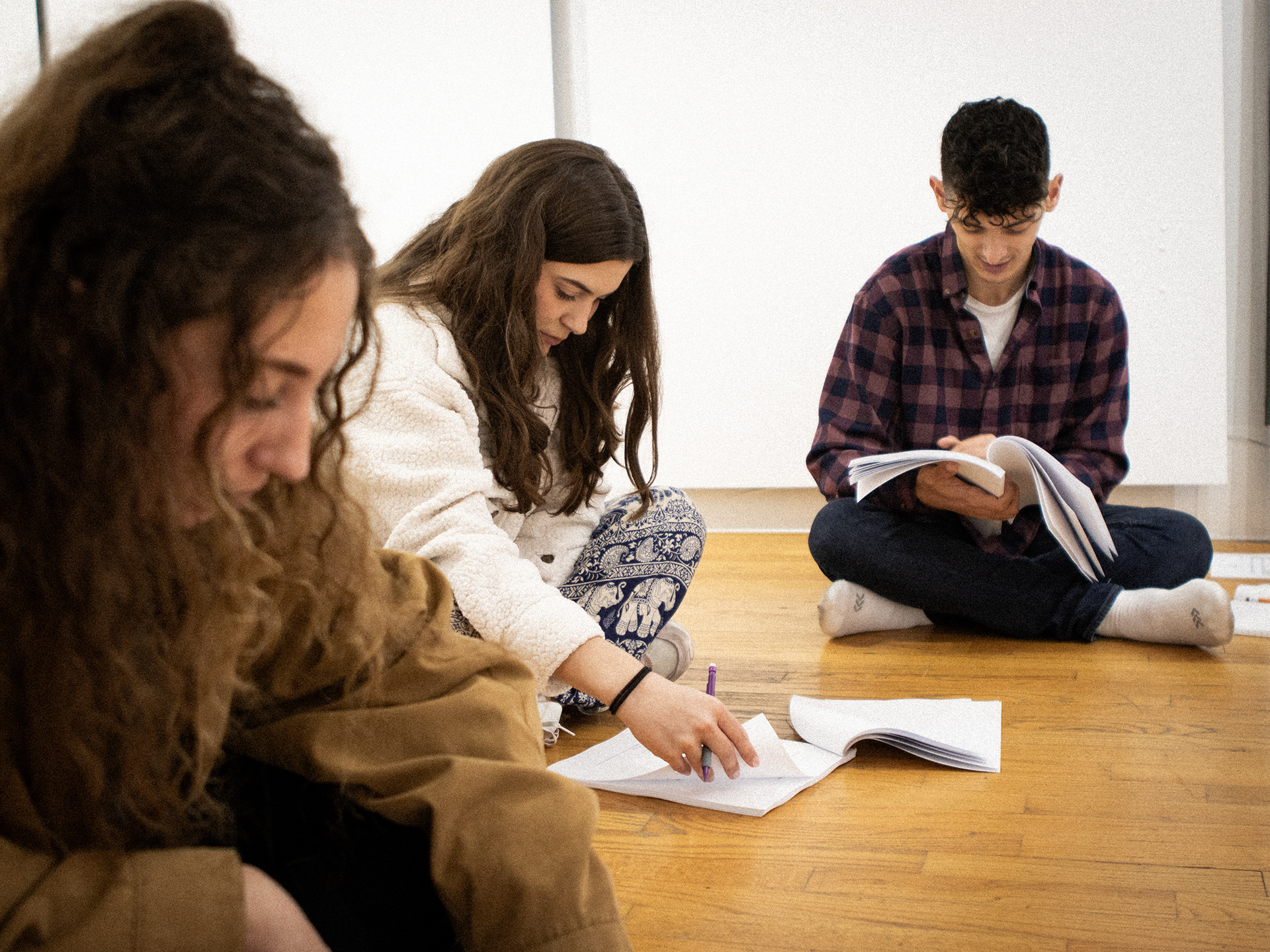 The Brookside Project - Chekhov's Gull