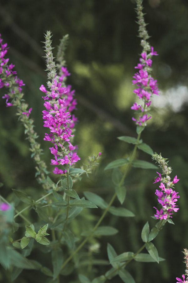 Alex Fuller - Other Work