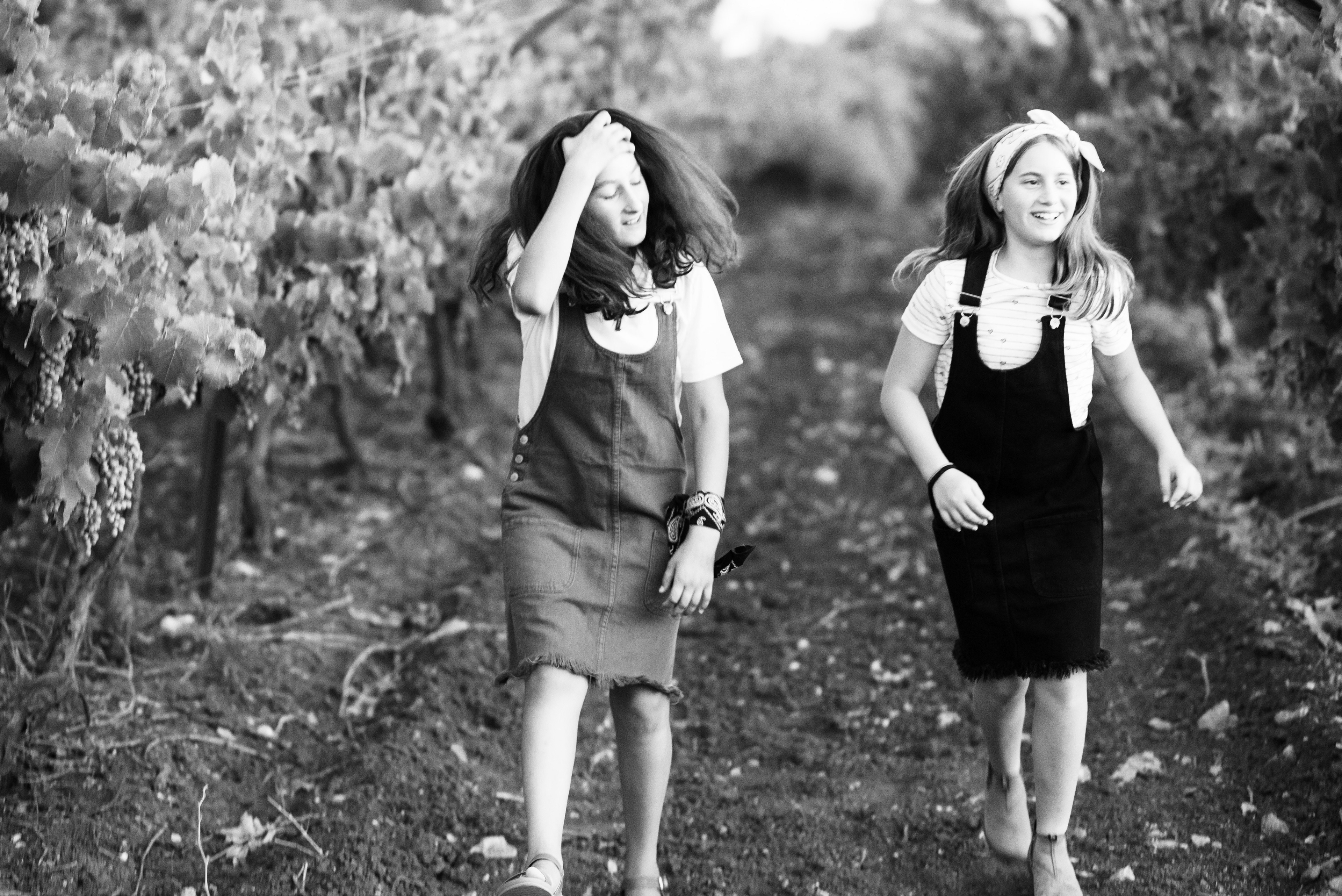 YDH Photography - Yigal David Hachmon Portfolio - Live Music Photography