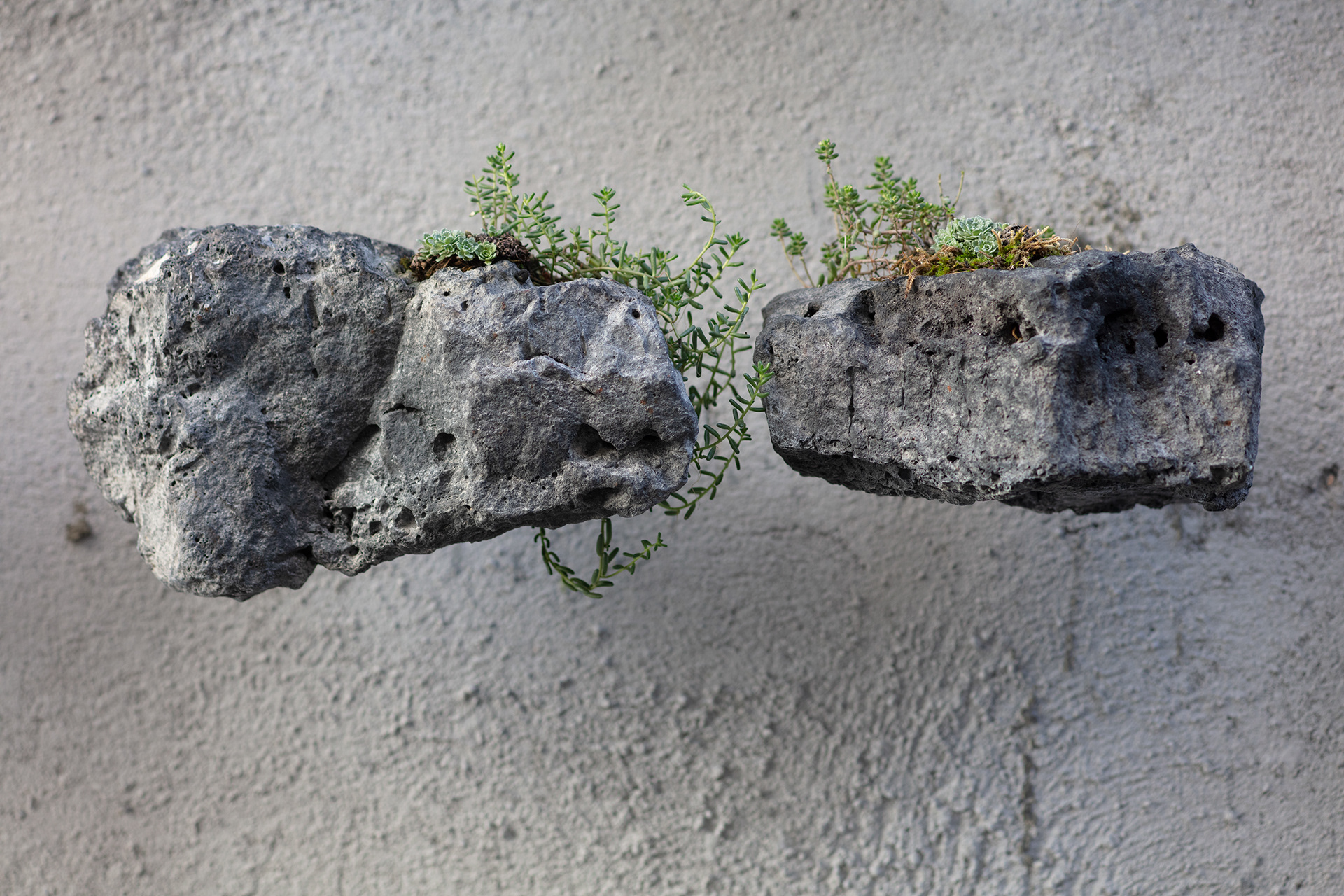 Jamie North - Stone in Three Phases
