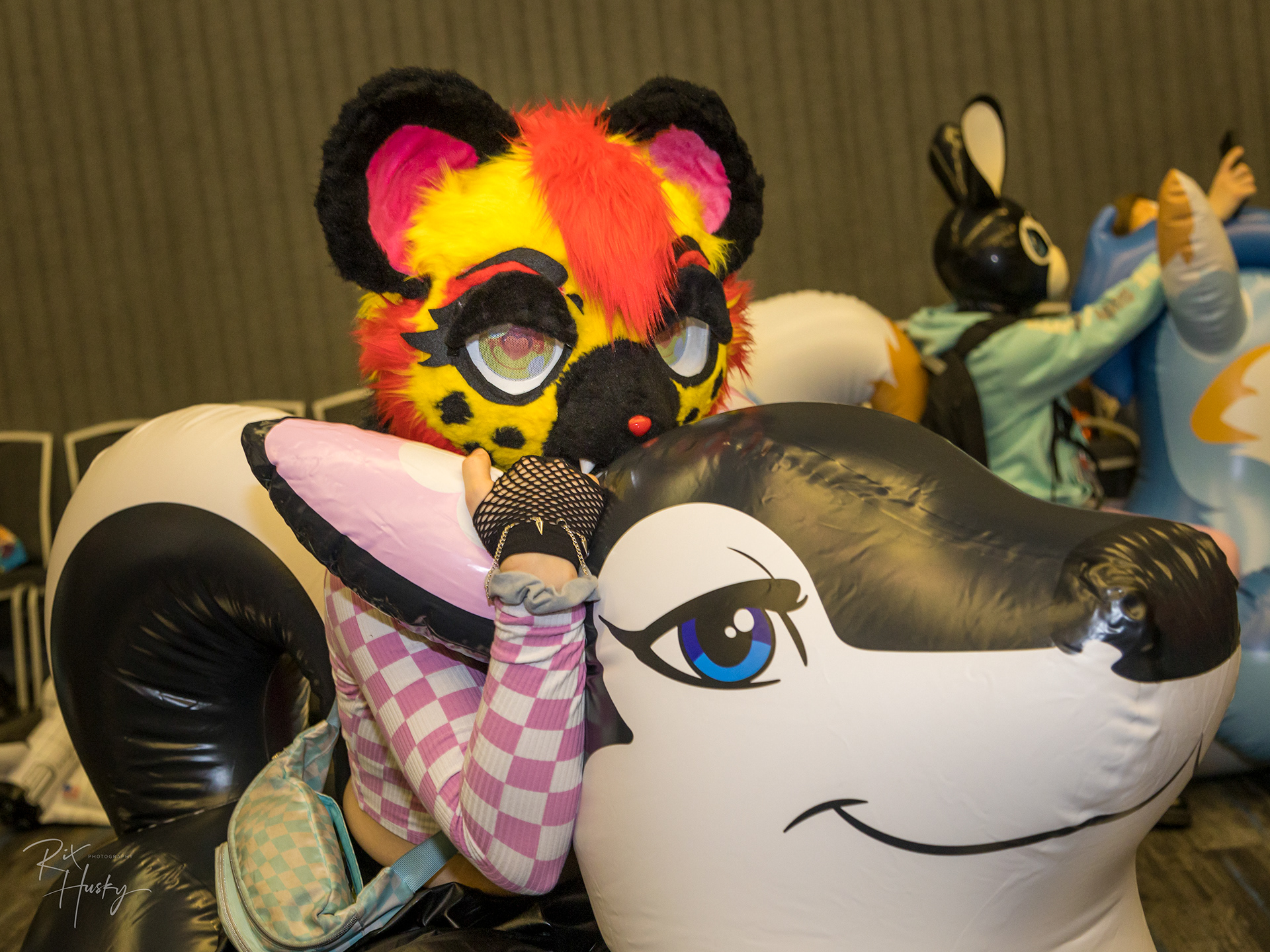 Rix Husky Photography - Further Confusion 2023