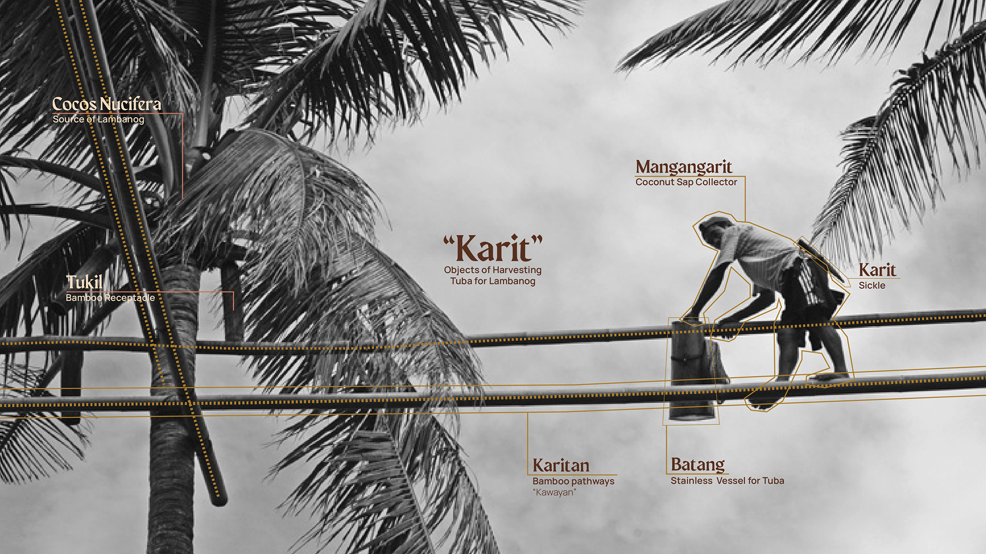 Lance Sy - Lambanugan