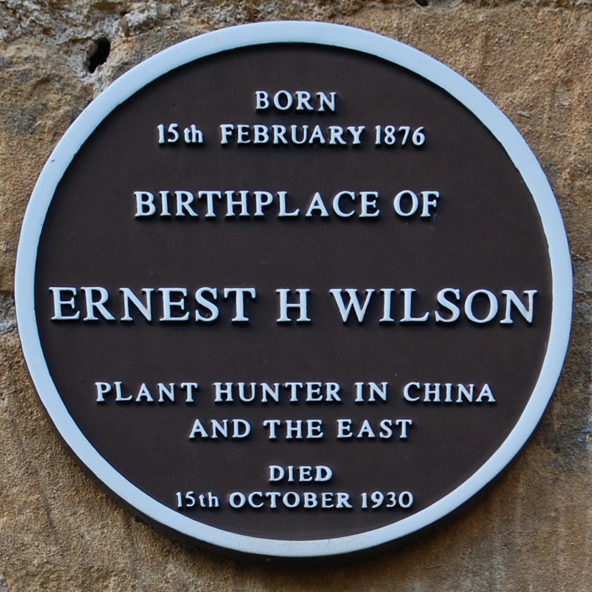 Ernest Wilson Garden - The Man