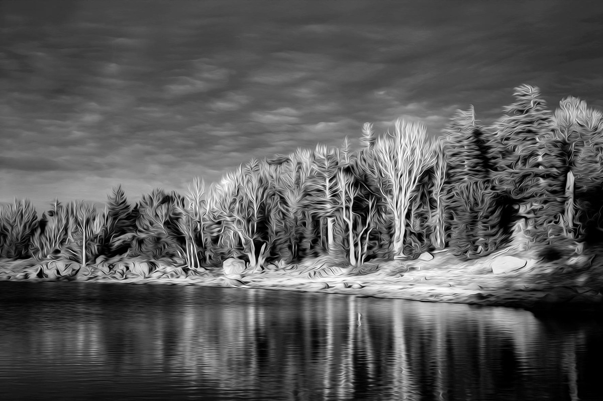 Paul Cockrell - Sierra Images