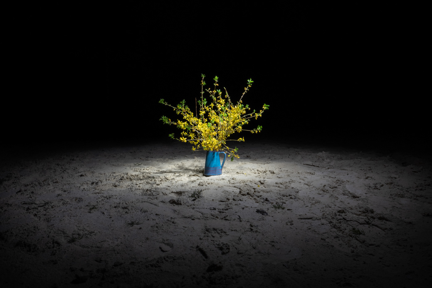 Anton Reyes | Photographe