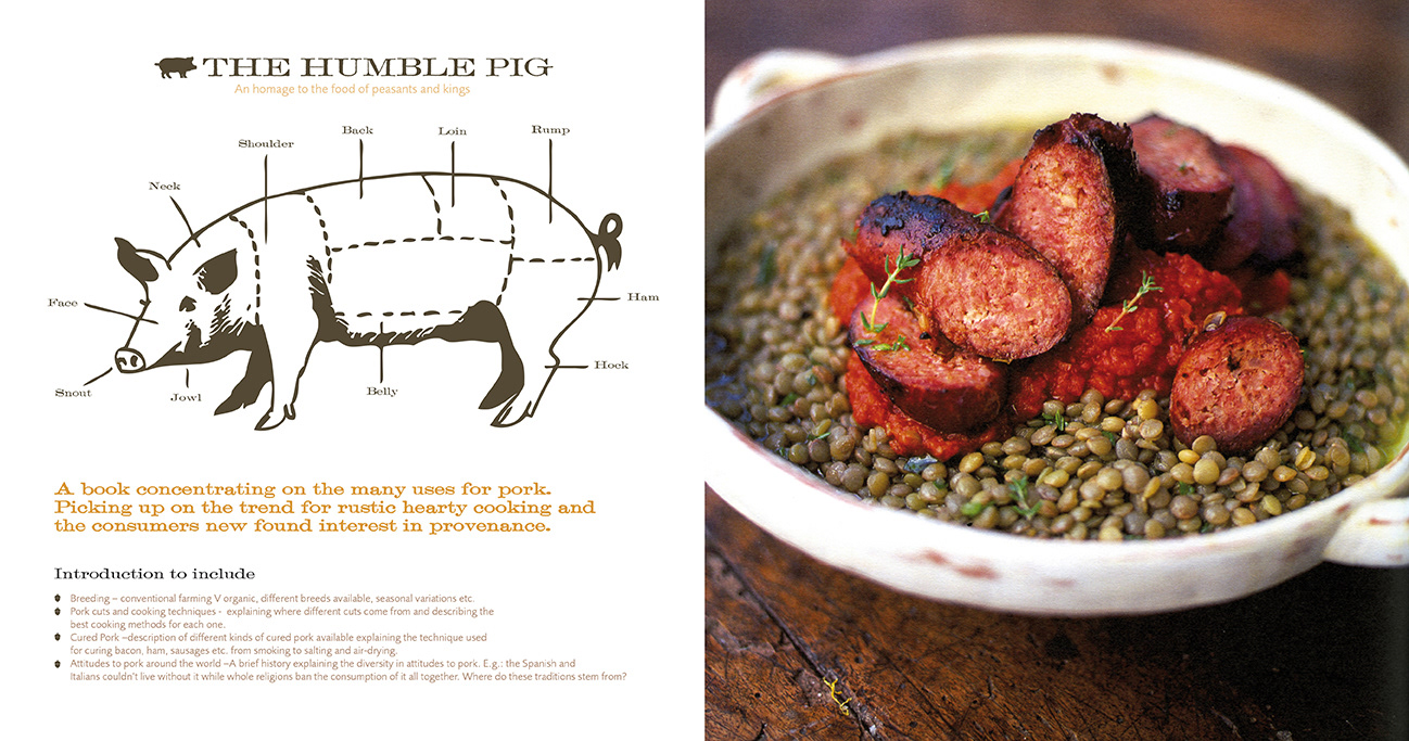 Threedotsperinch - Humble Pig Book Concept