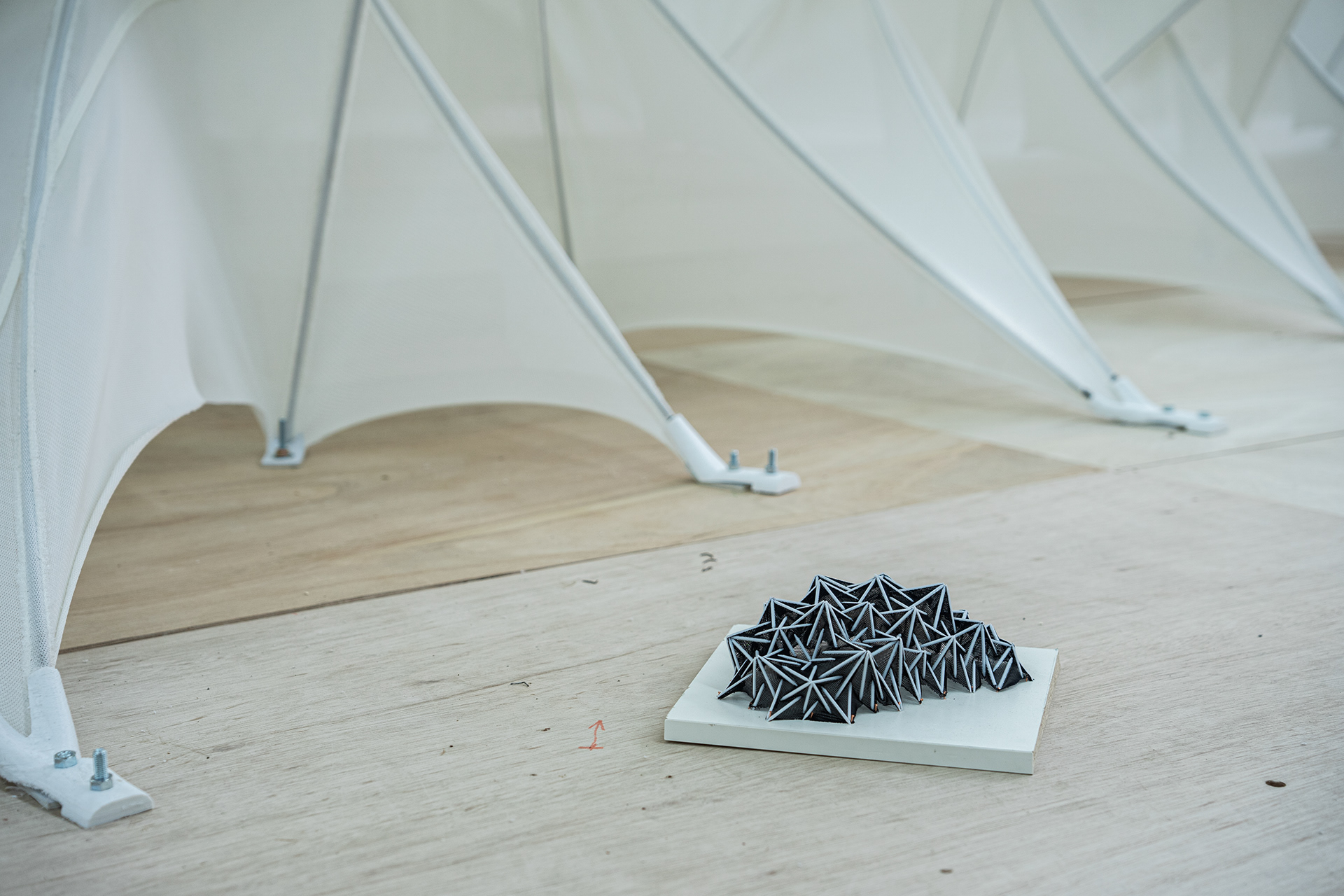 下田悠太 | Yuta Shimoda - Freeform membrane tensegrity
