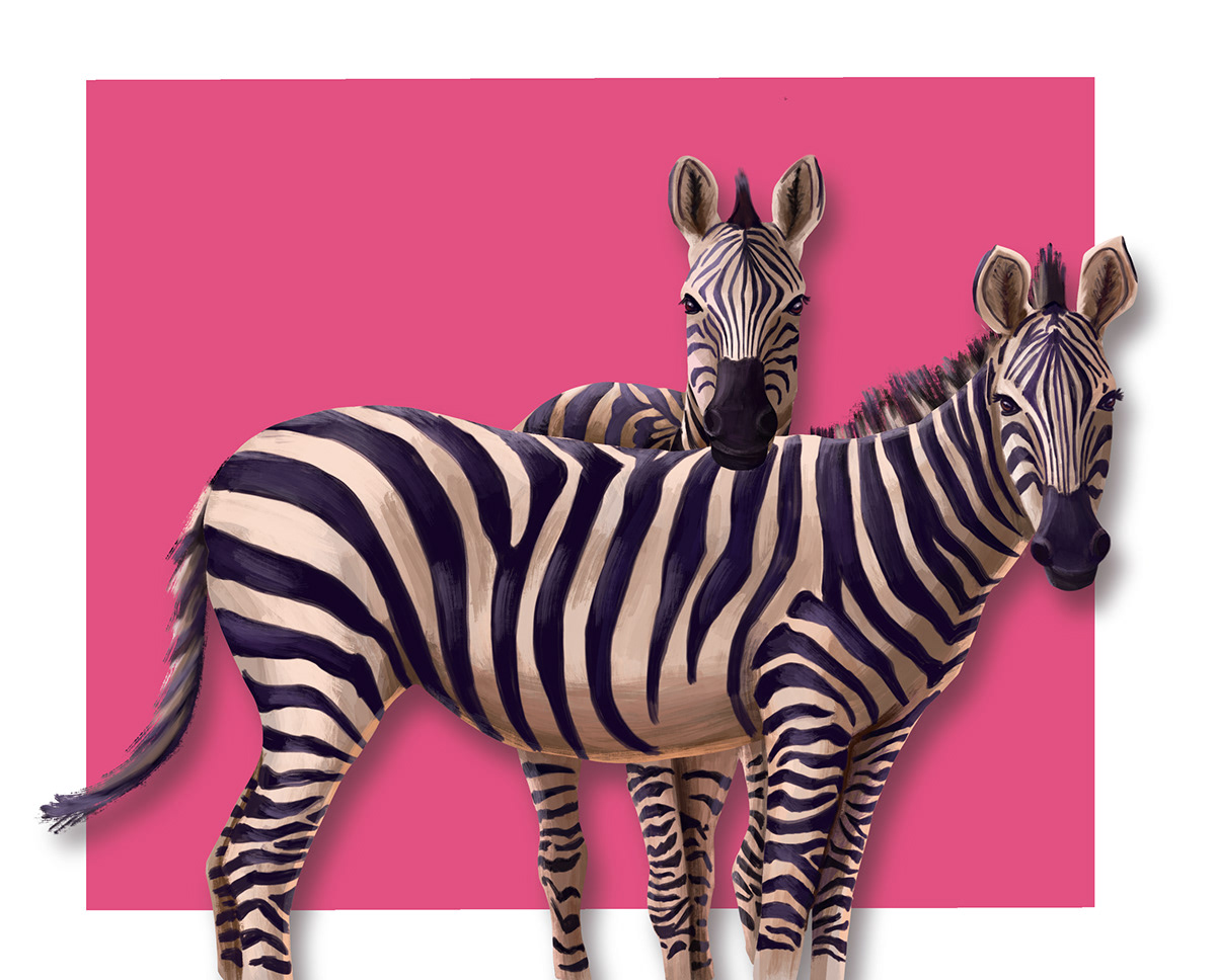 Grazi Barth Studio - Wild Animals - Jandaia