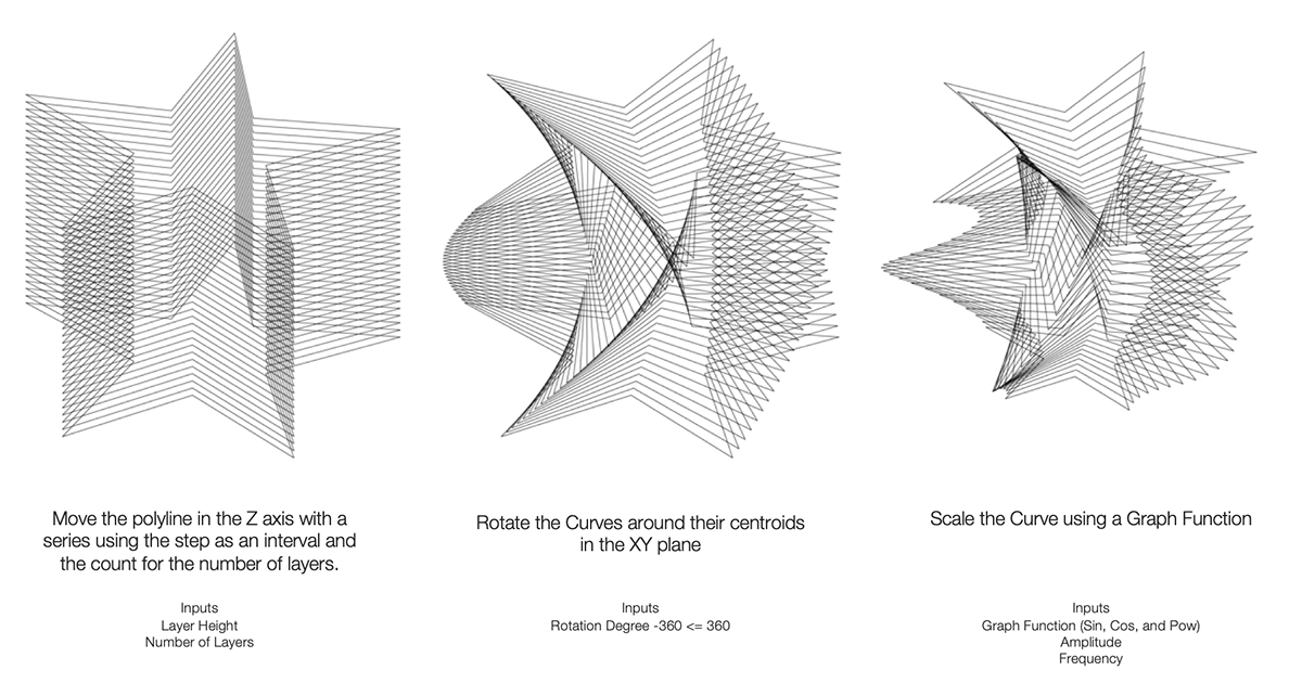 Erin Linsey Hunt - Coiled Shells