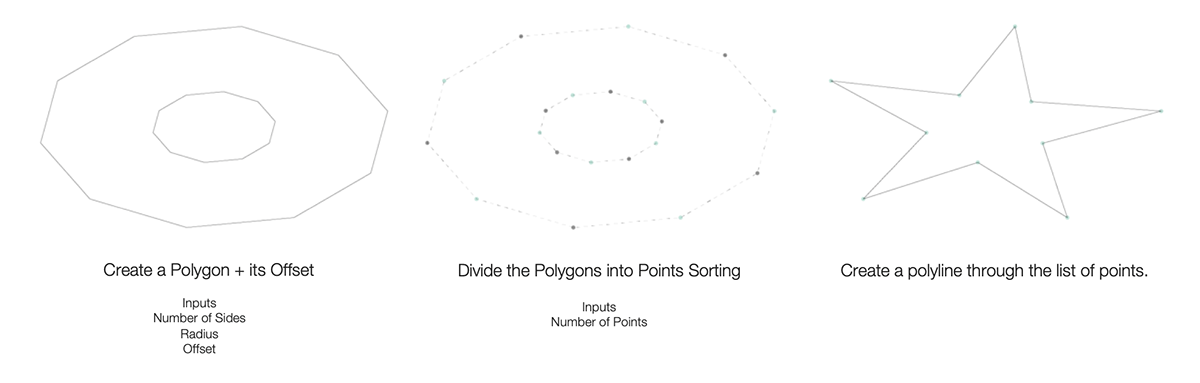 Erin Linsey Hunt - Coiled Shells