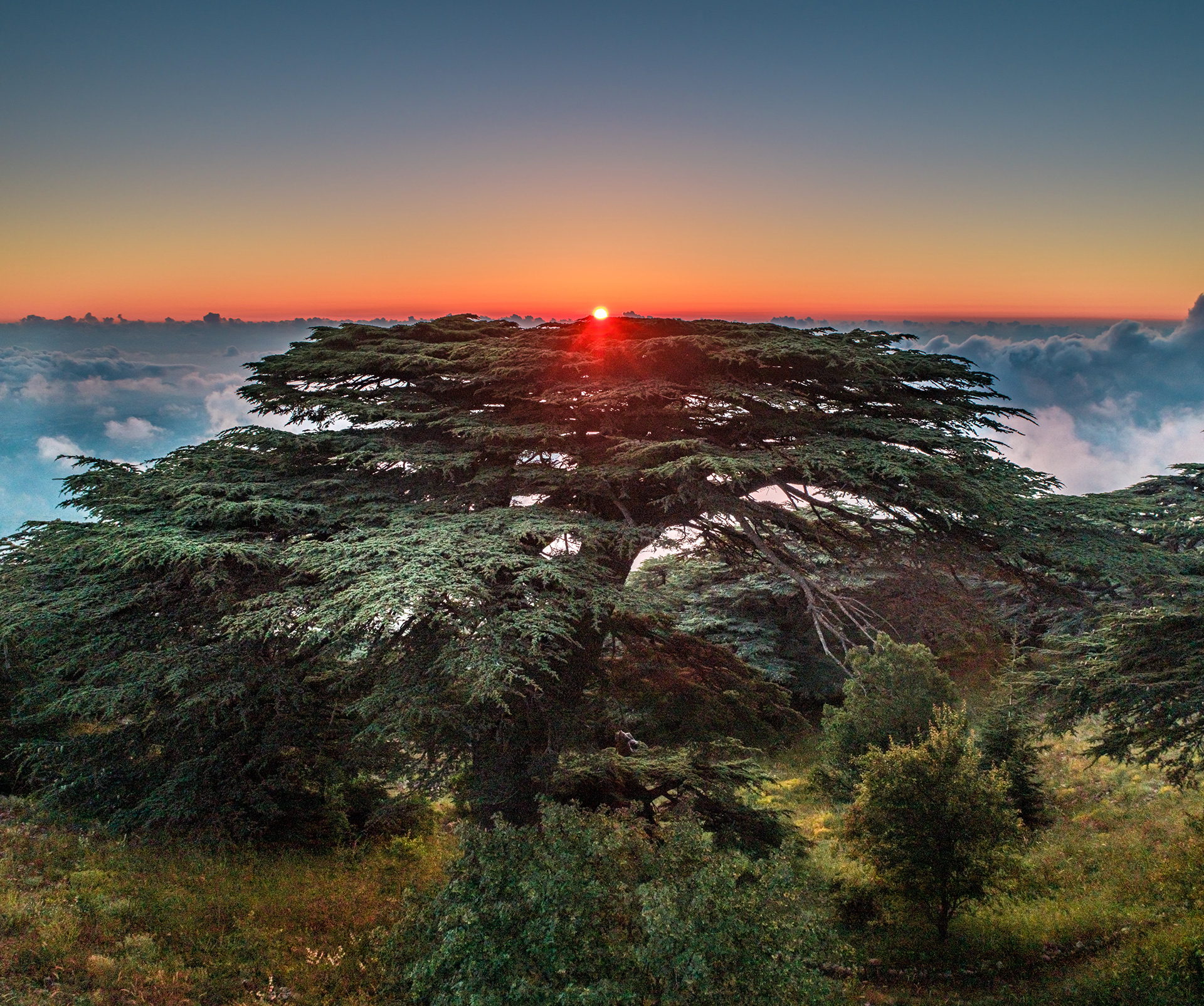 Rami Rizk - Aerial Photograhpy - PUZZLE