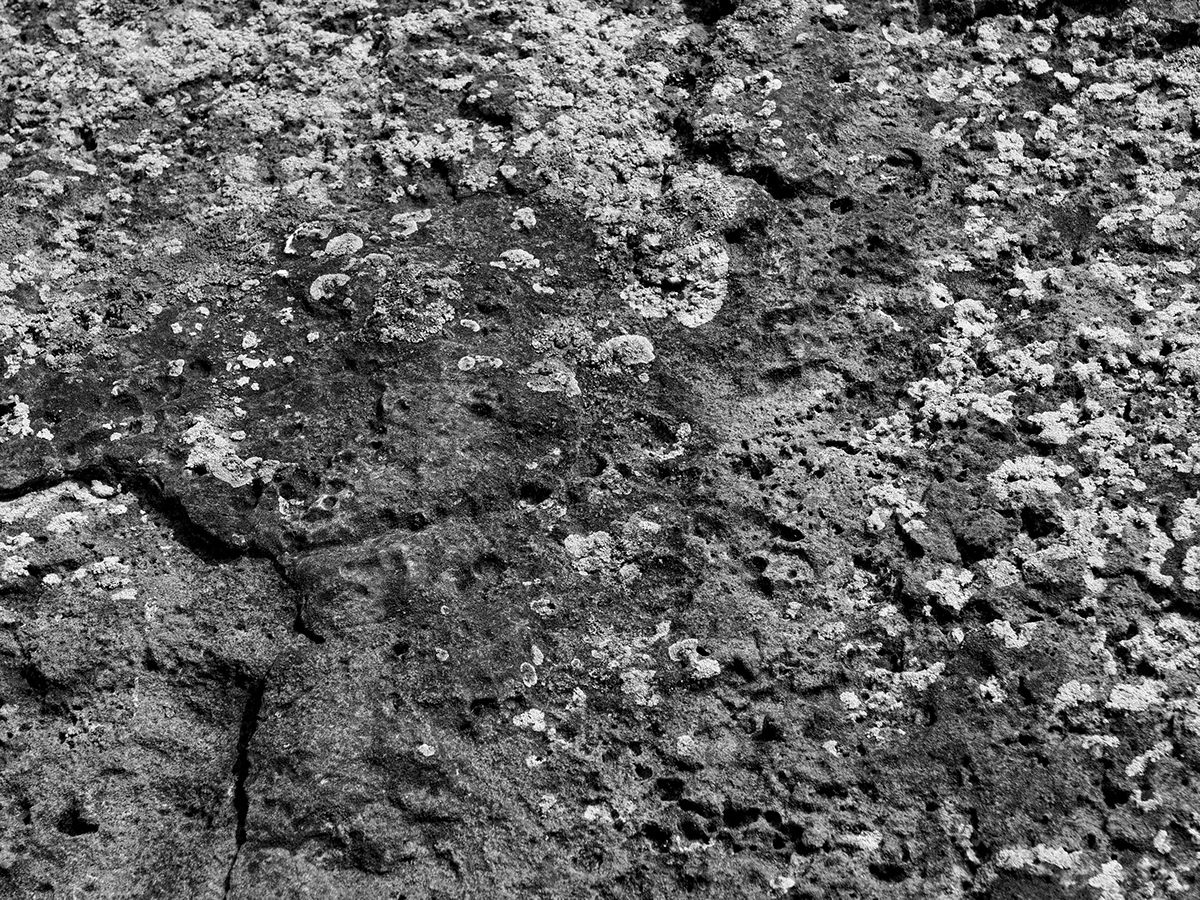 Xena White - The Forest of Dean: Lore of Water and Stone