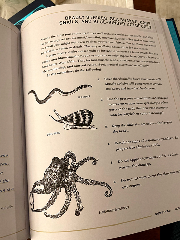 Frida Clements - Chronicle Books / Sasquatch Books