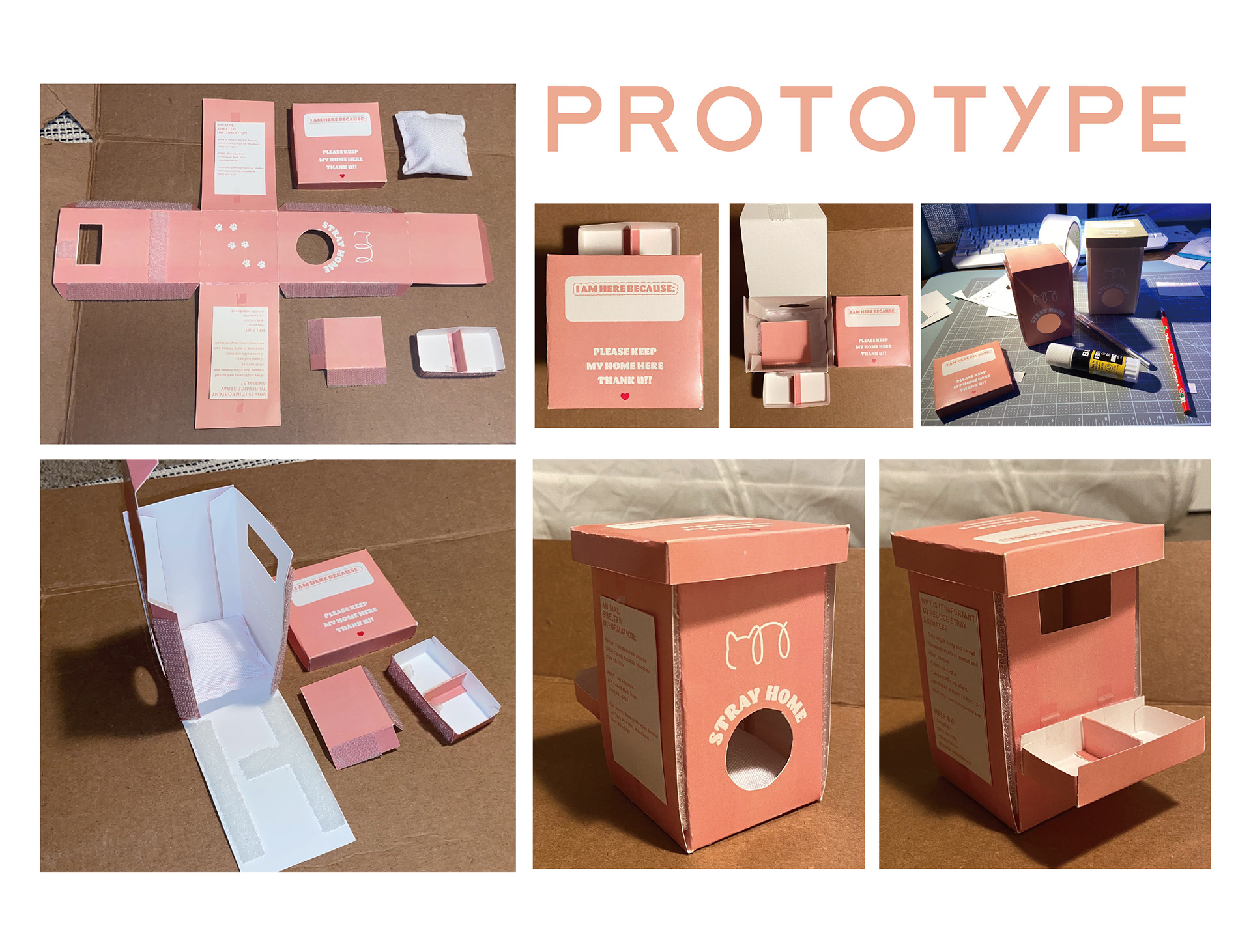 Xiwen Hu - Stray Cat House Project