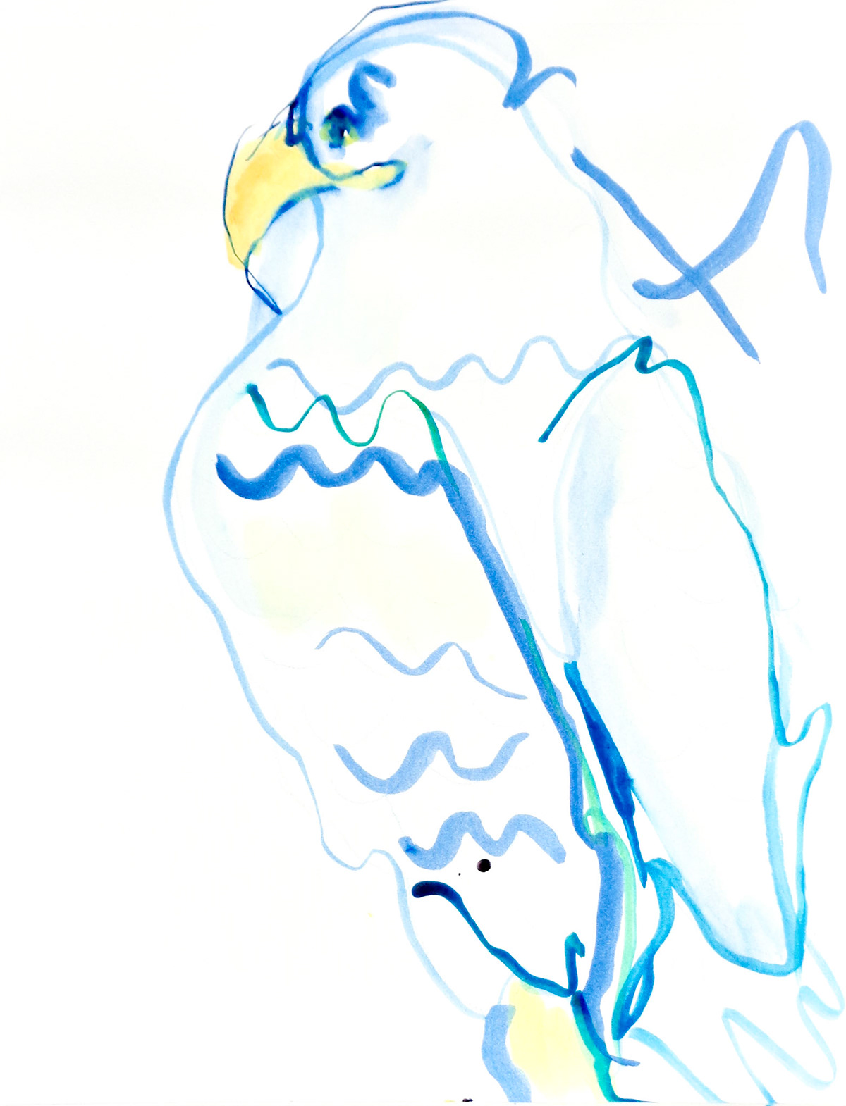 Monica Helen Boone - Works on Paper - Blue Eagle