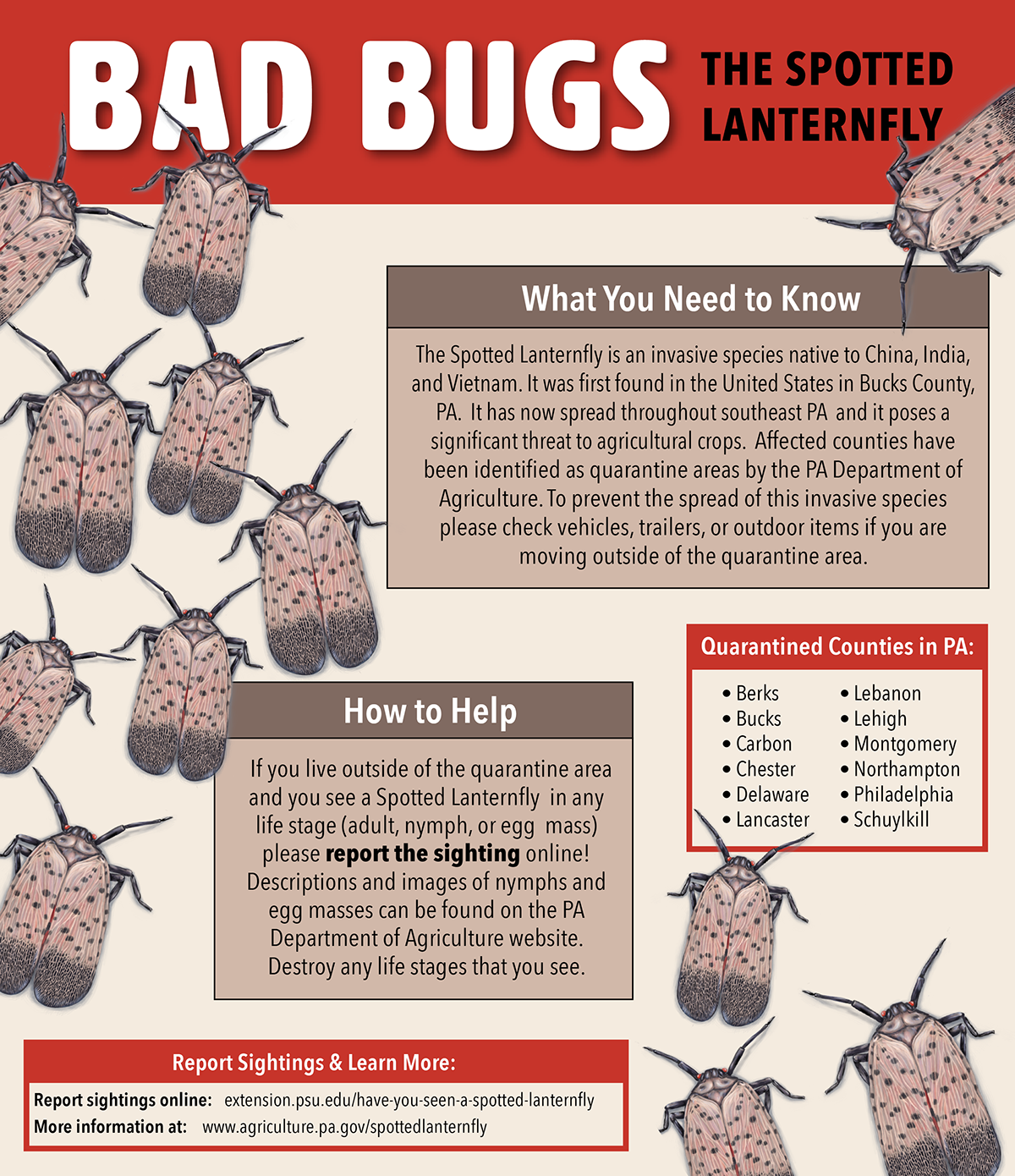 Kara Perilli - Spotted Lanternfly Poster