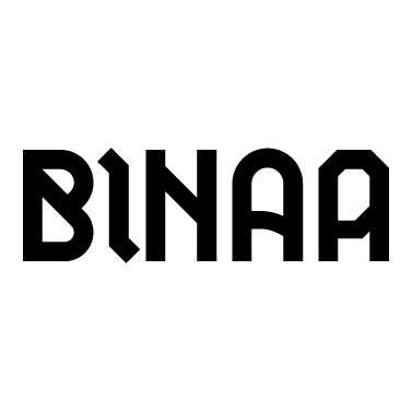 BINAA - Building INnovation Arts Architecture - WORKS