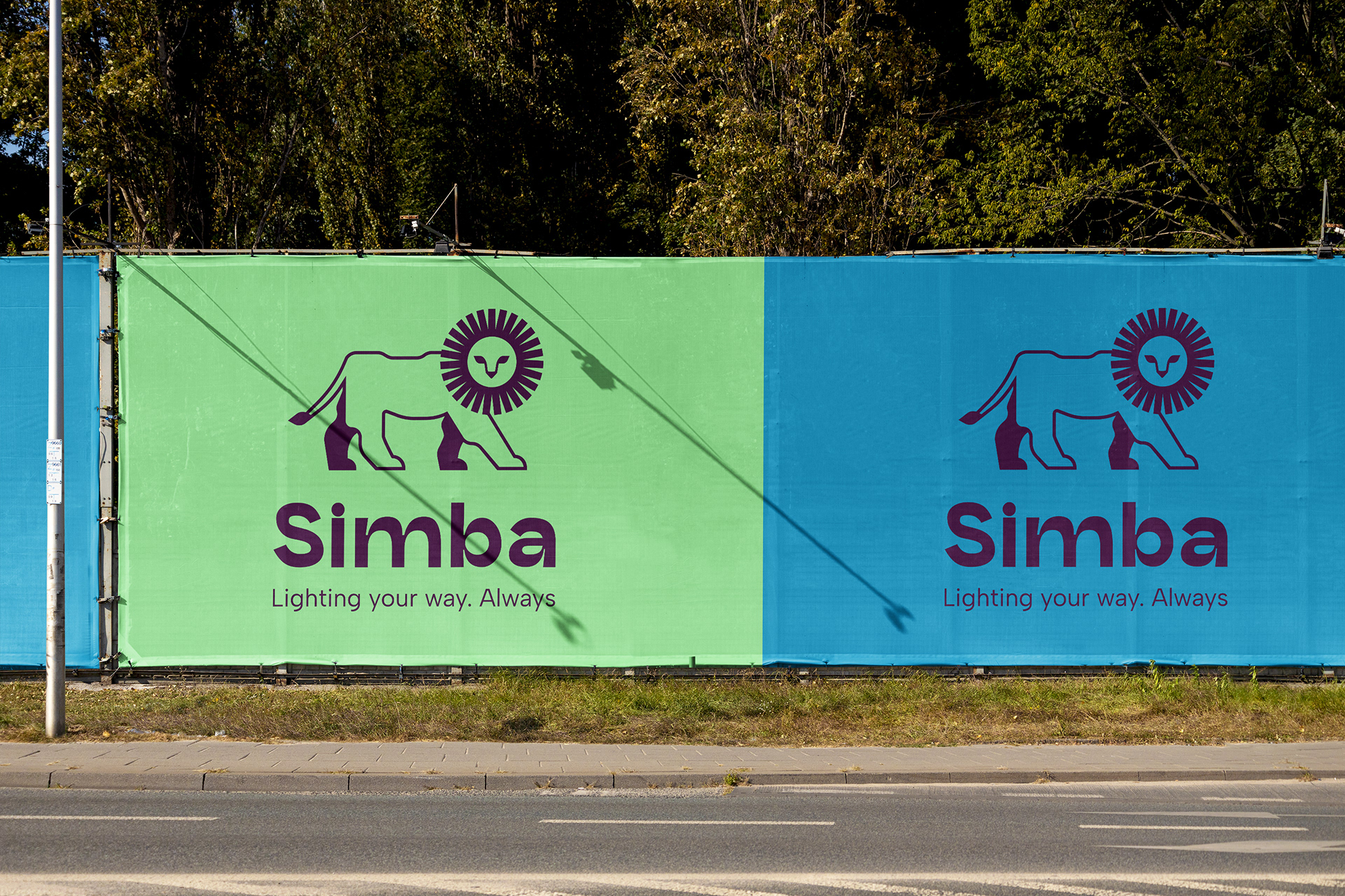 Darya Prokharava - Simba - Brand Concept
